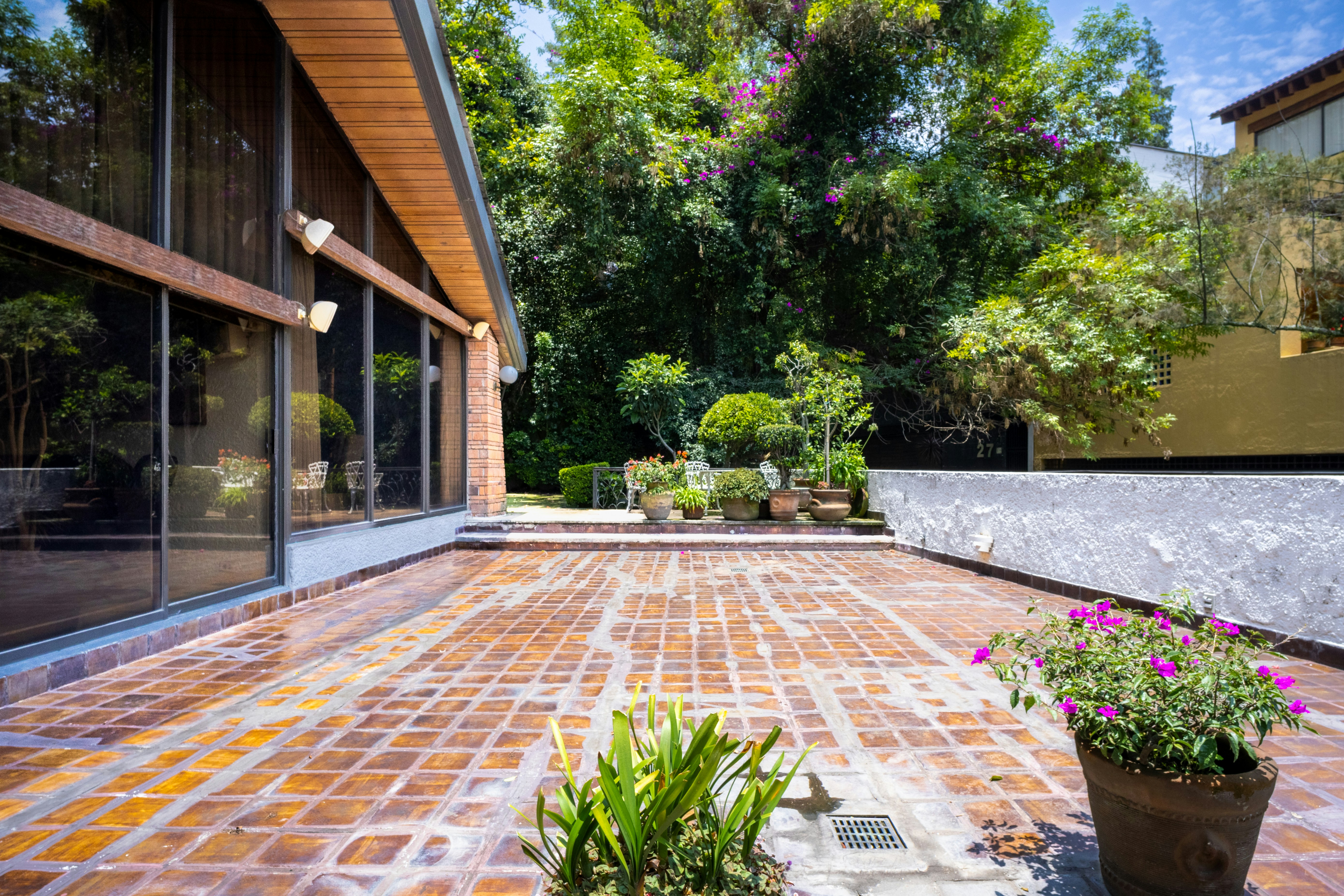 Sunlit Terracotta Terrace Framing a Lush Oasis