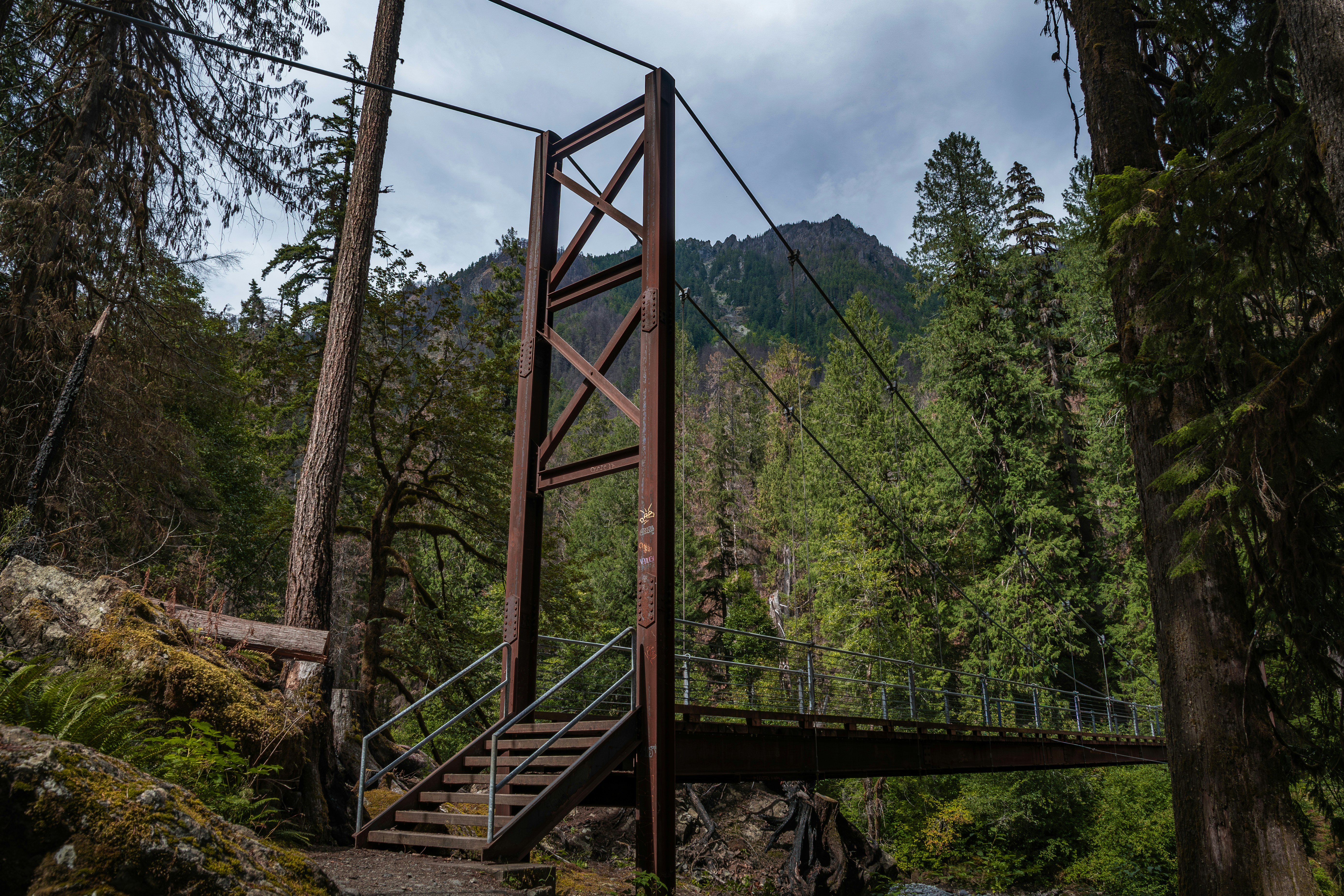 Suspended Staircase Between Pines Over a Mountain Gorge