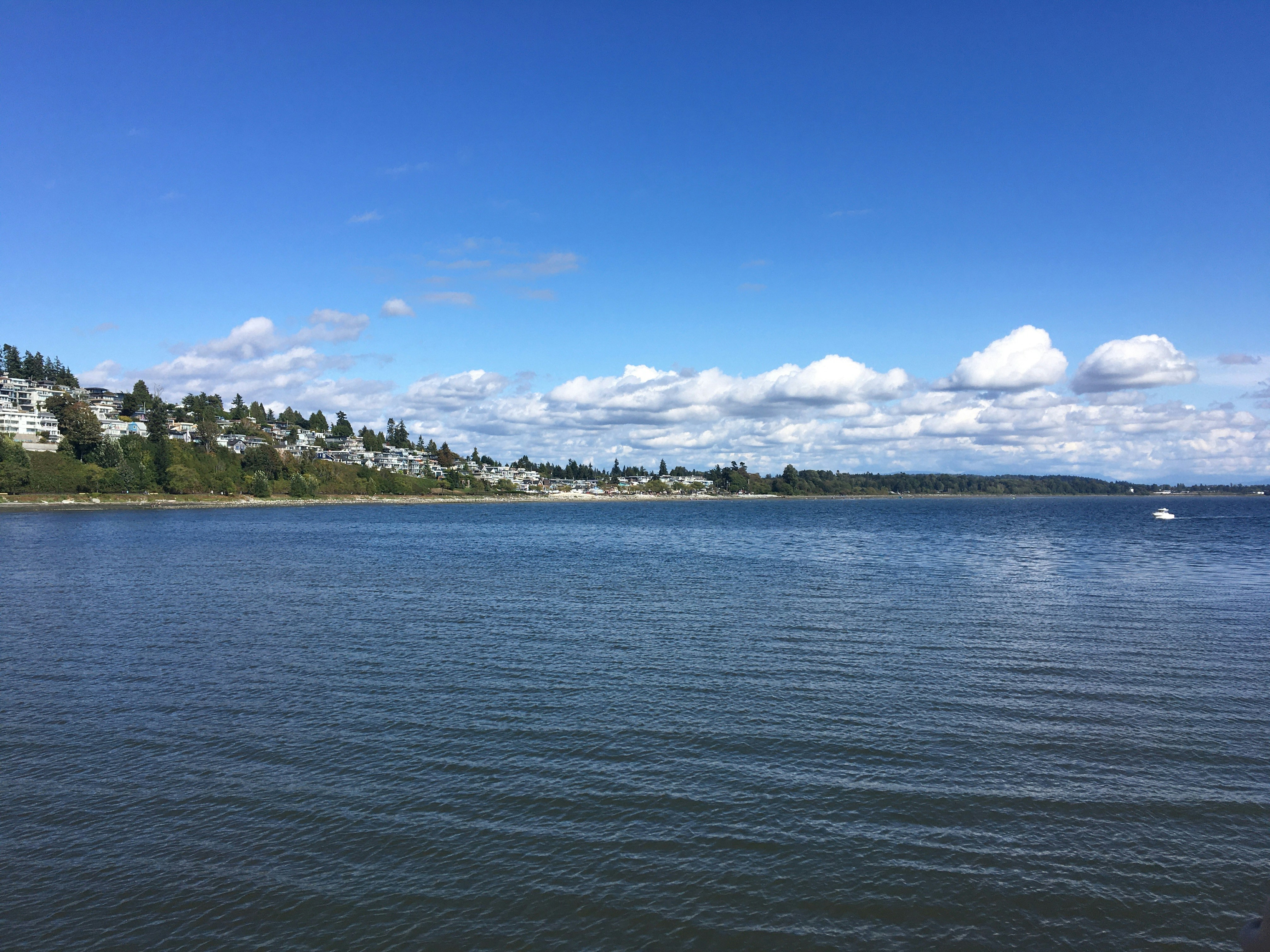 Coastal Horizon: Quiet Seascape Under a Wide Blue Sky