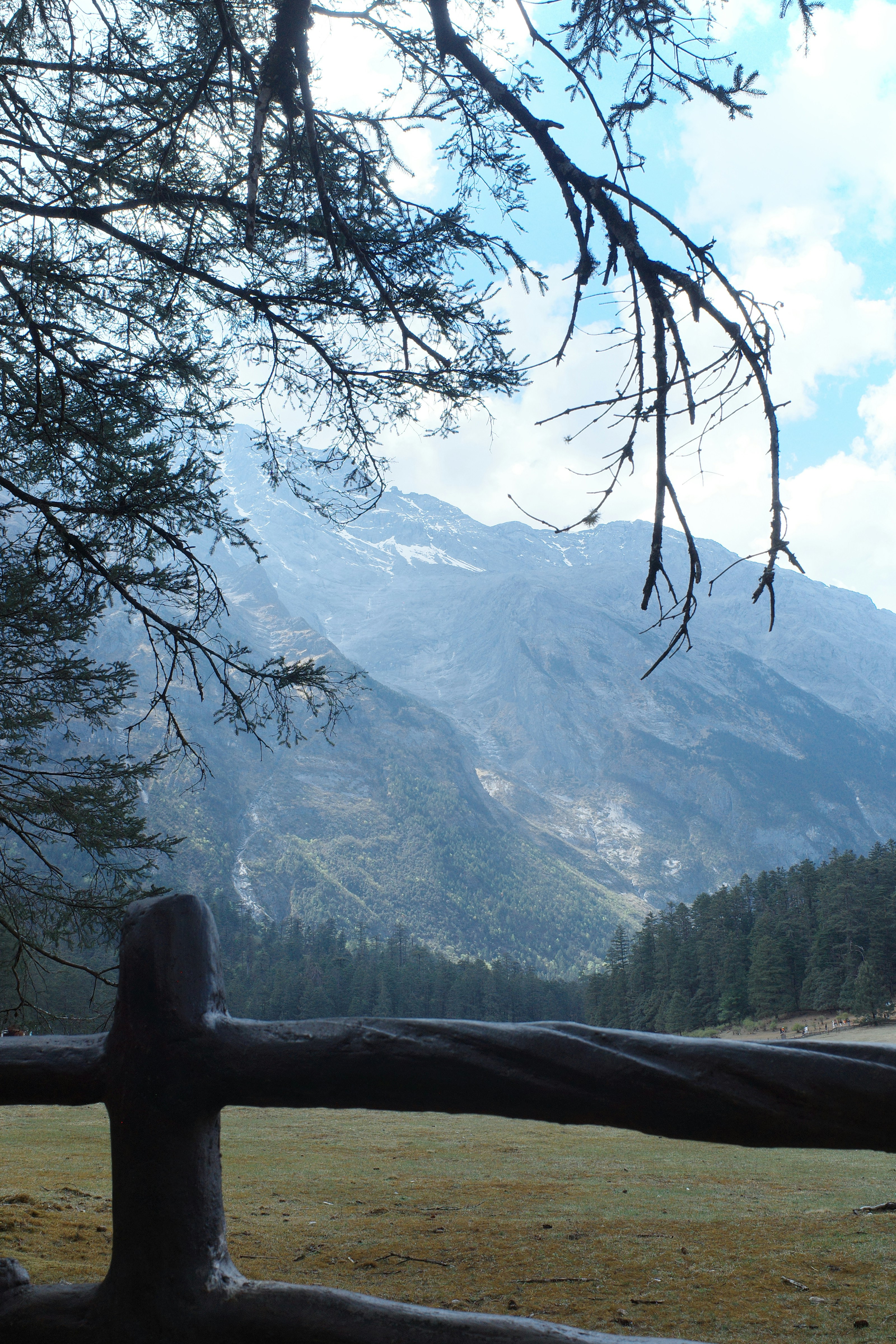 Mountain Vista Through Framed Branches