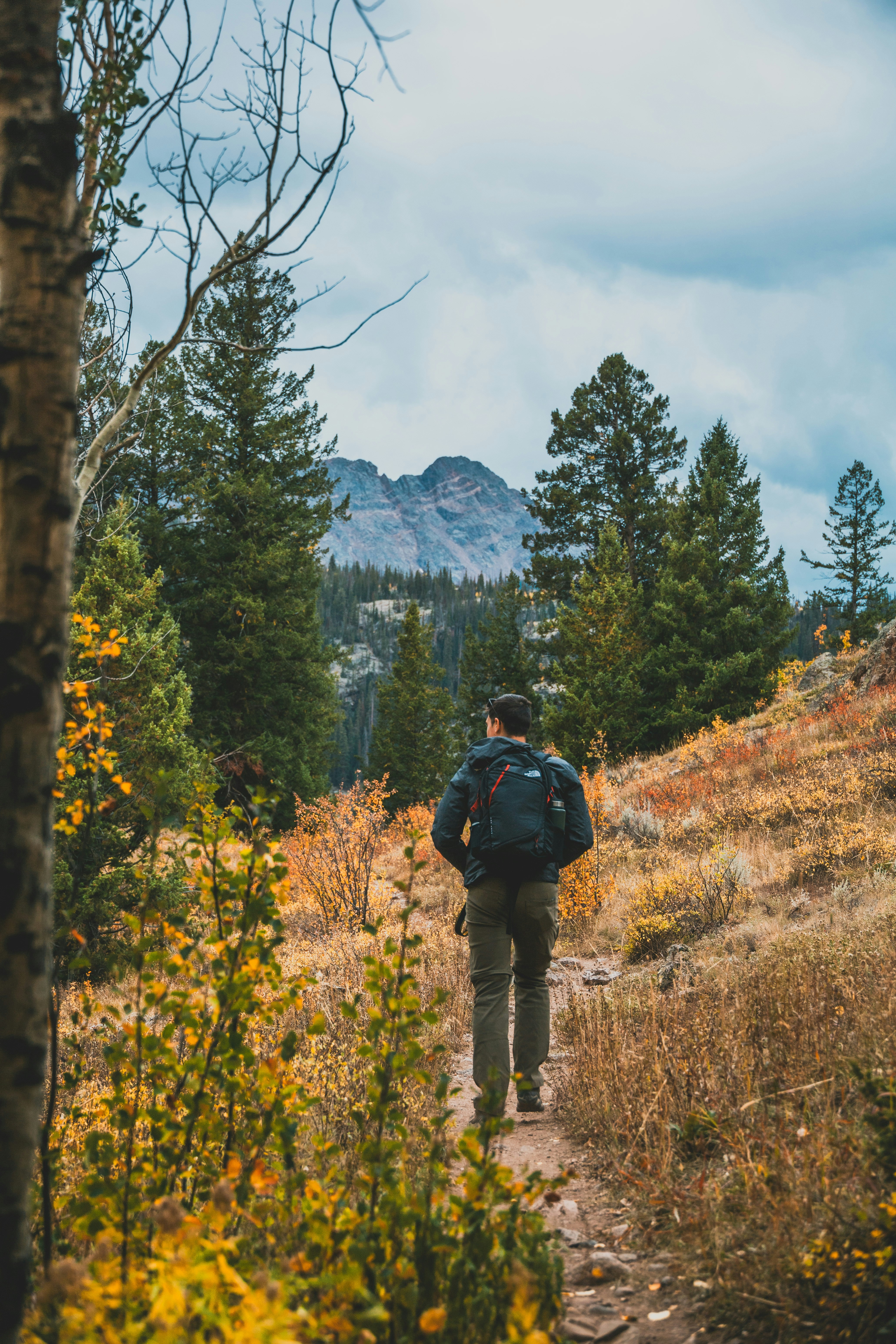 Trail to the Alpine View