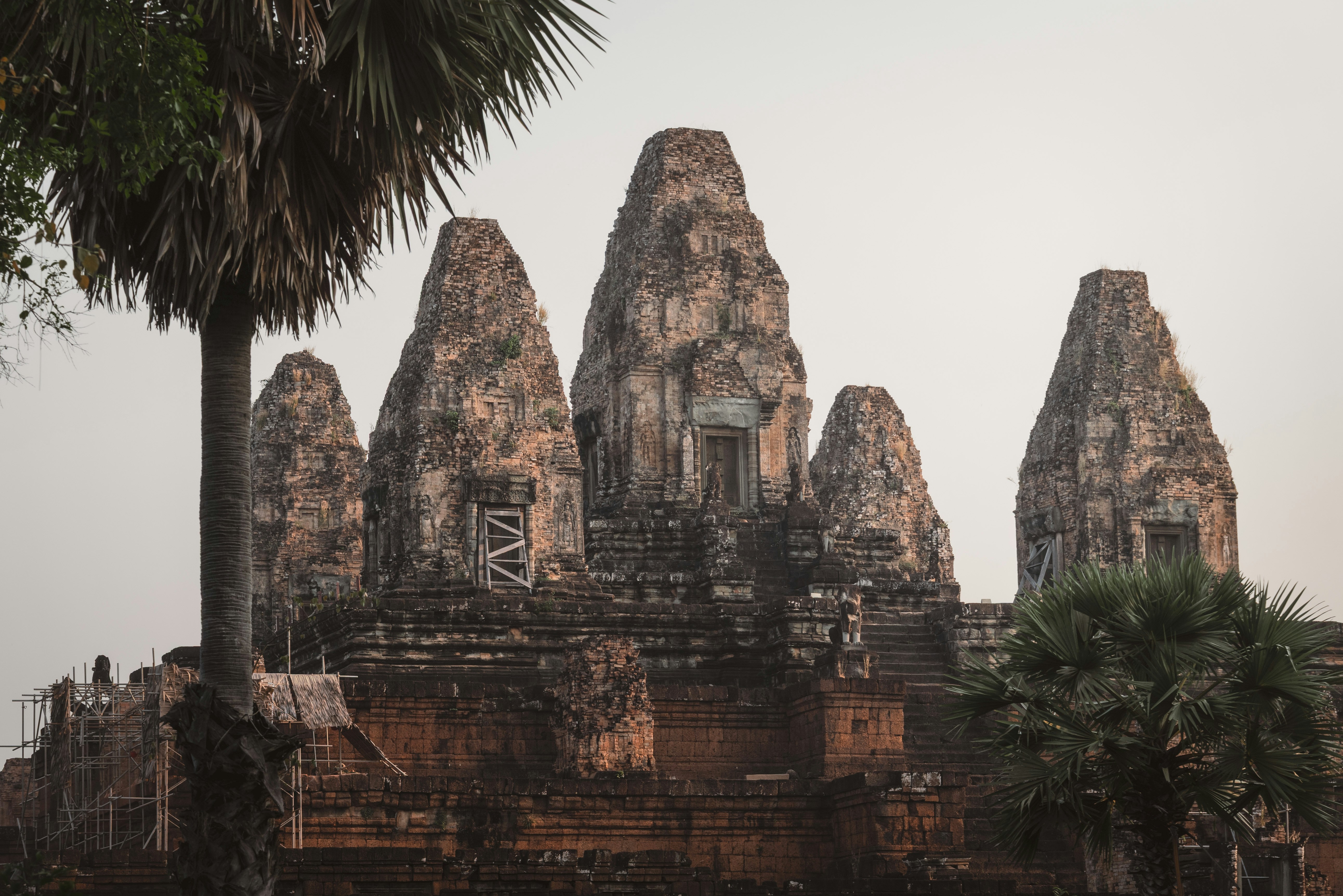 Towers of the Ancient Gate: Weathered Guardians Amid Palm Fronds