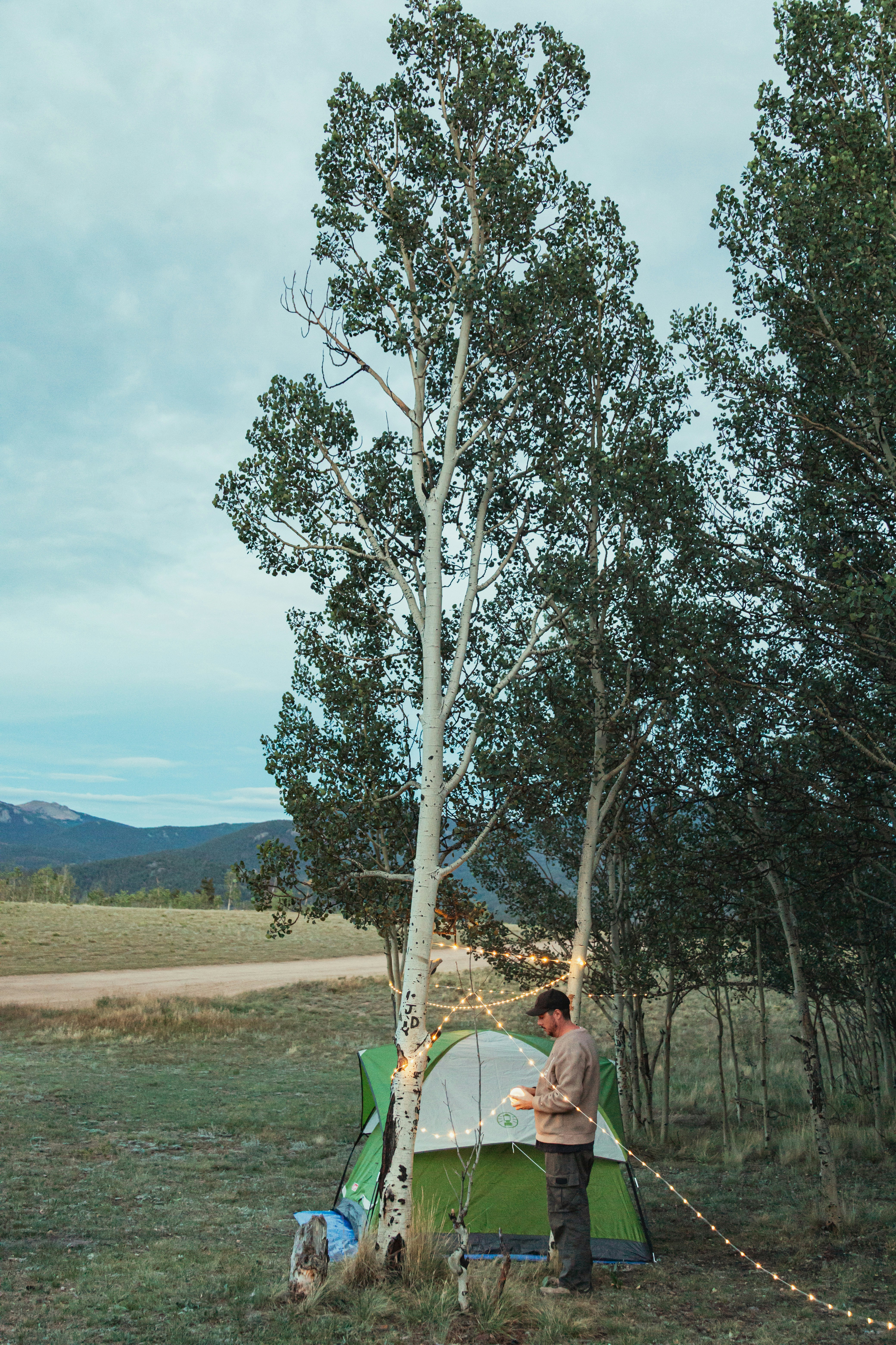 Evening Sparks: Tent, Tree, and Tailored Light