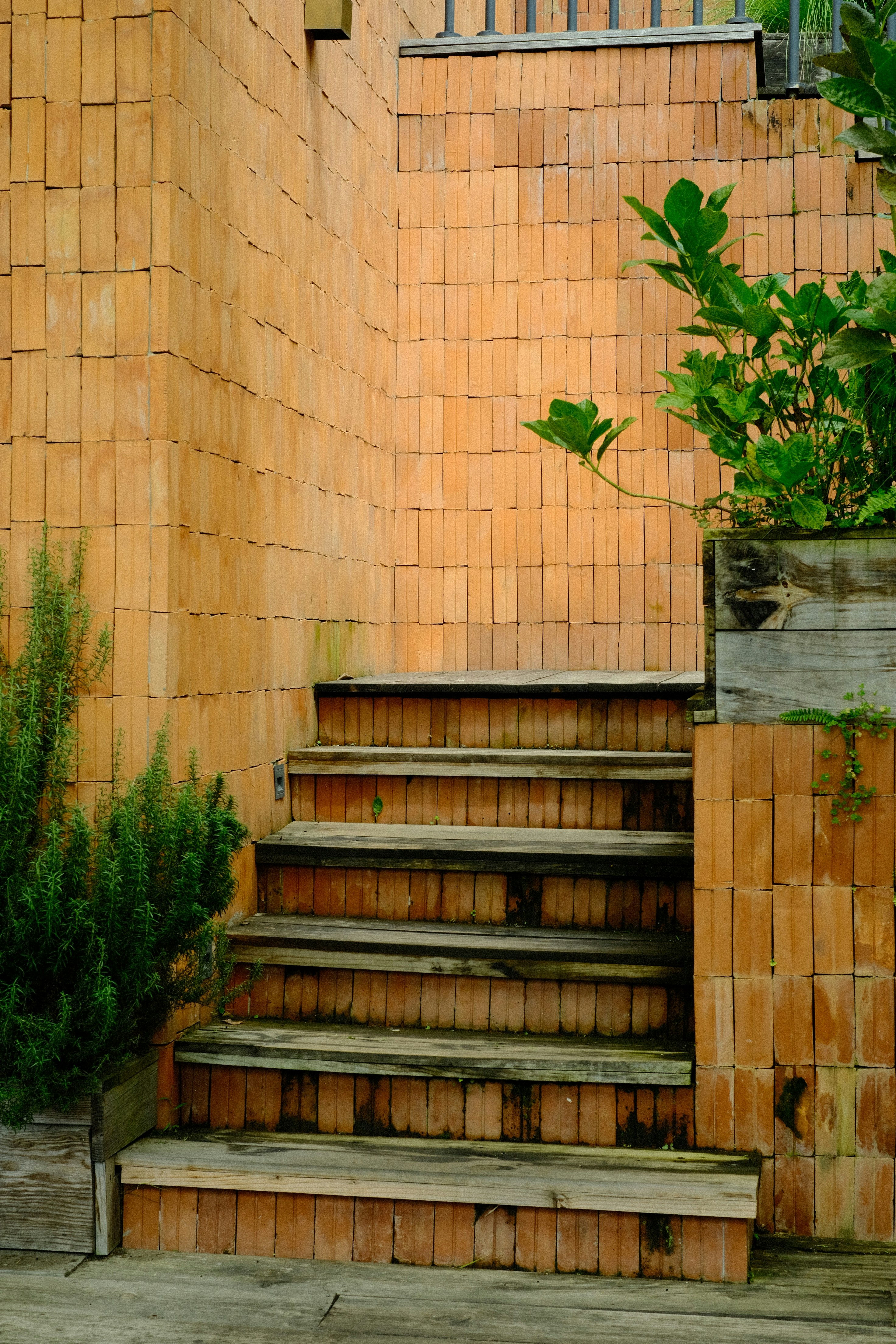 Terracotta Steps: A Quiet Stairway Into Greenery