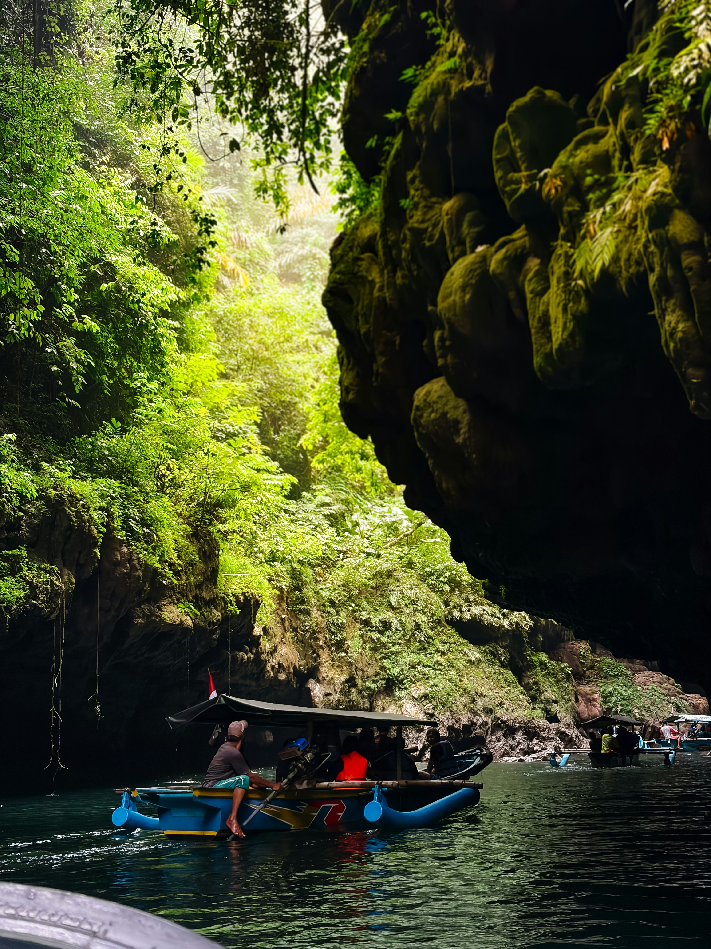 Canal Venture Under a Verdant Overhang