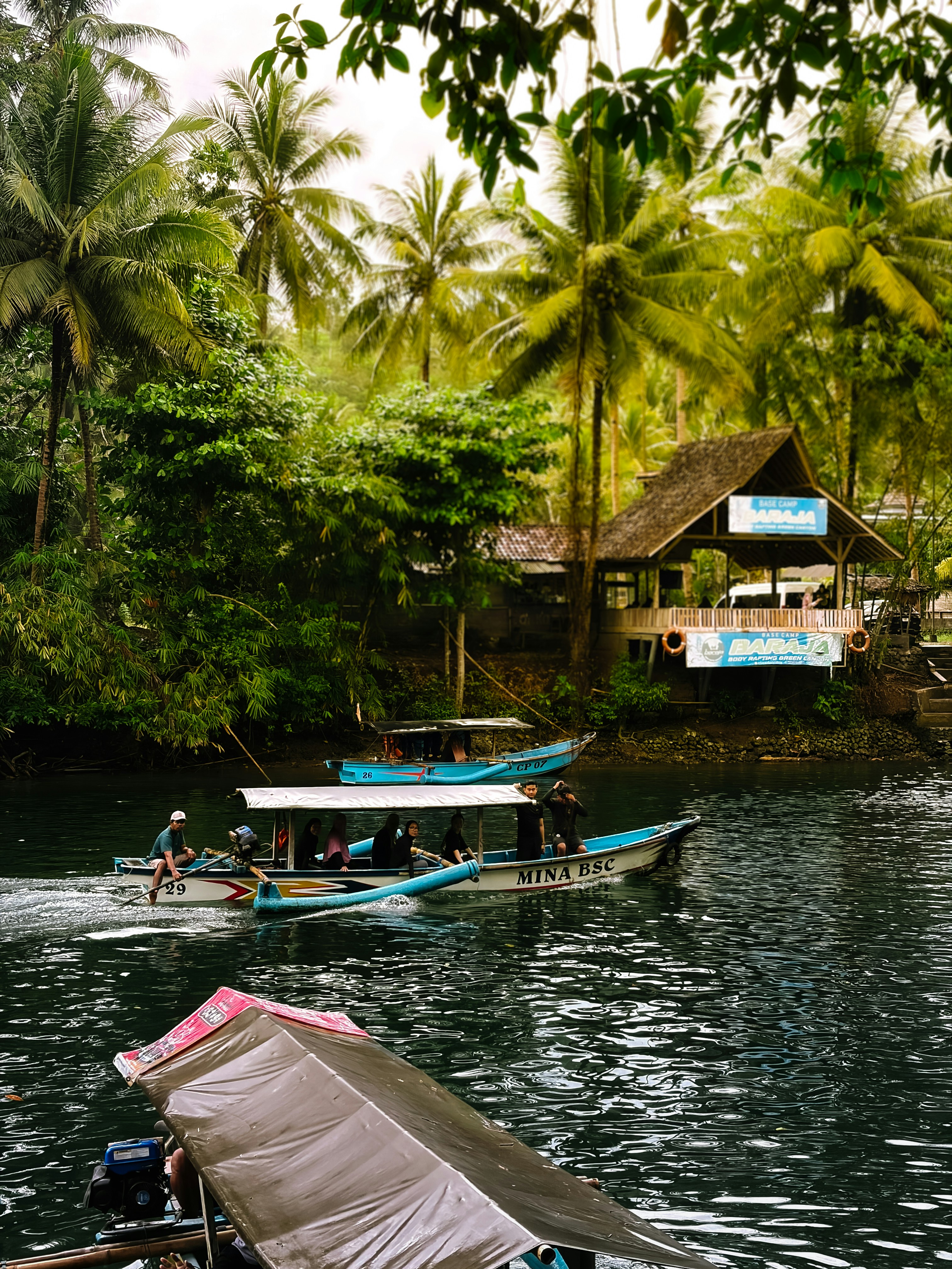 Boats Riff on Tidal Green: A Palm-Fringed Riverfront Evening