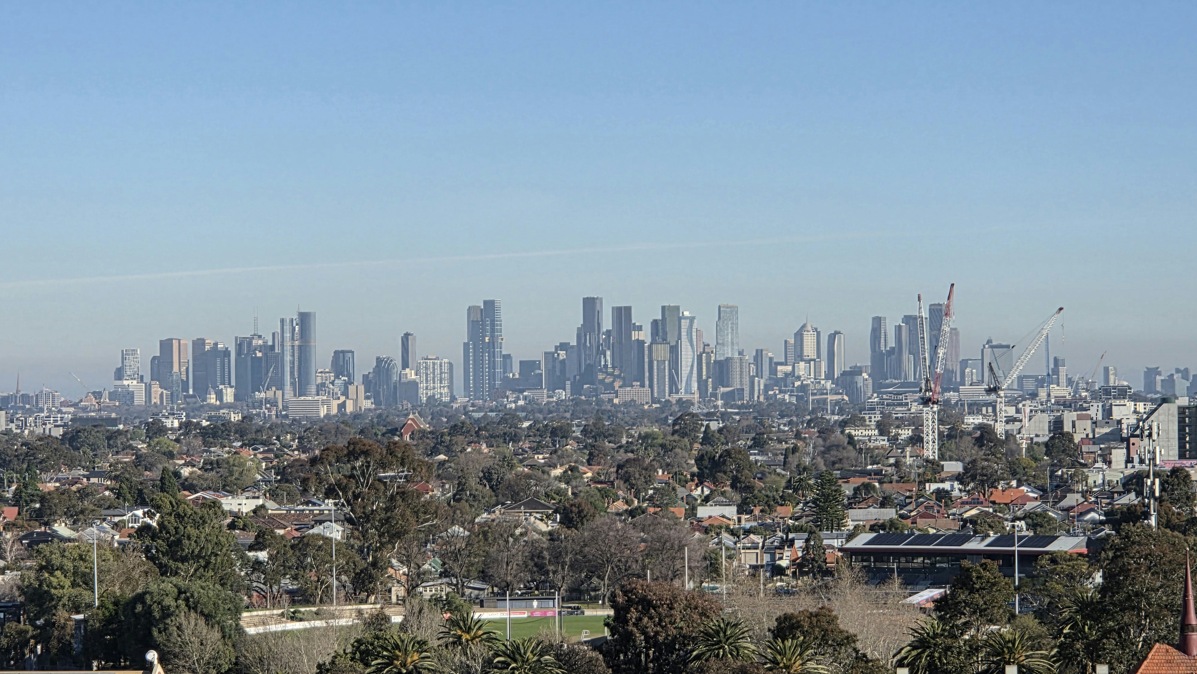 City Rhythms at Dusk: Skyline Rising Above Suburban Canopy