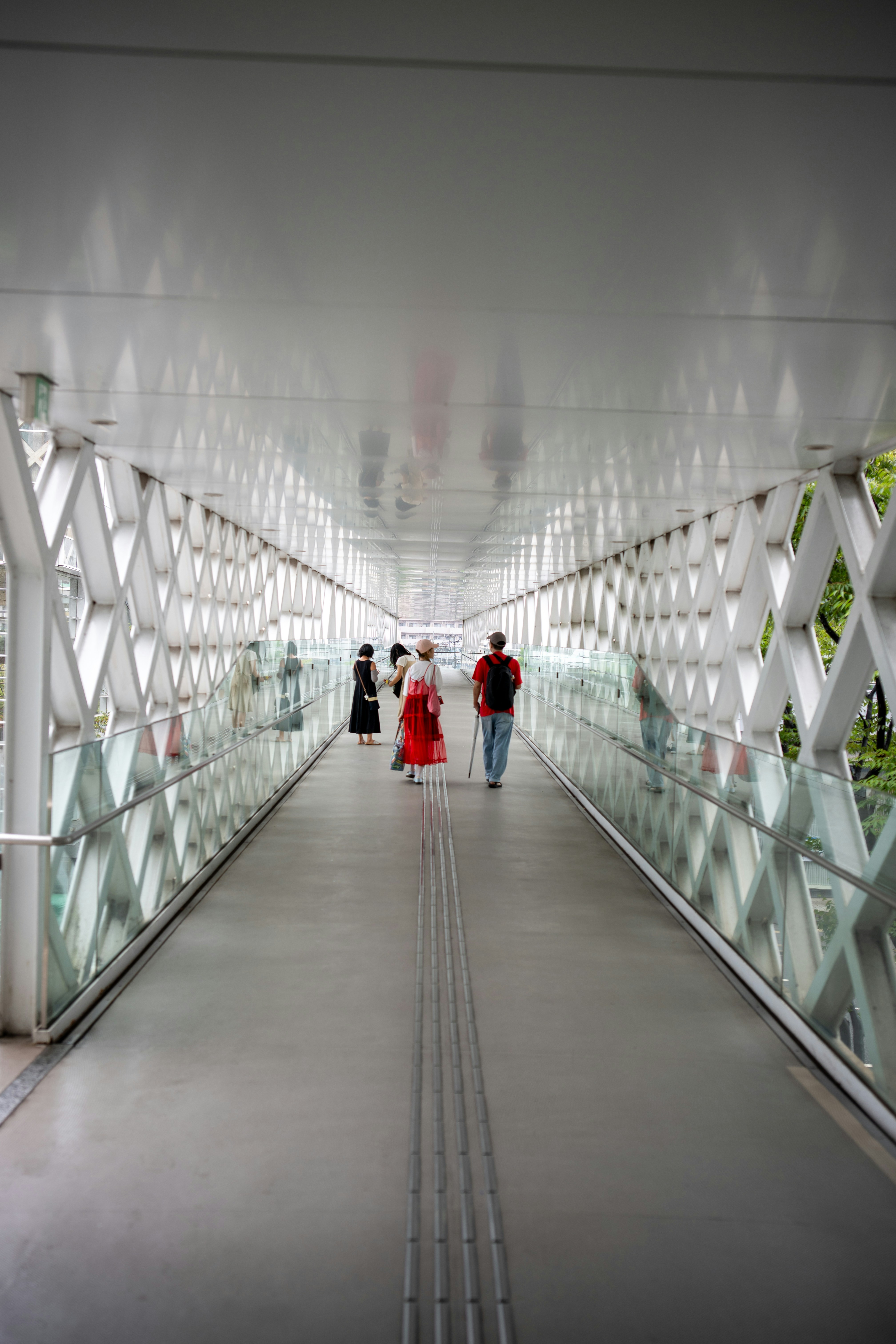 Pedestrian Bridge Convergence: A Quiet Walk Through Glass and Steel