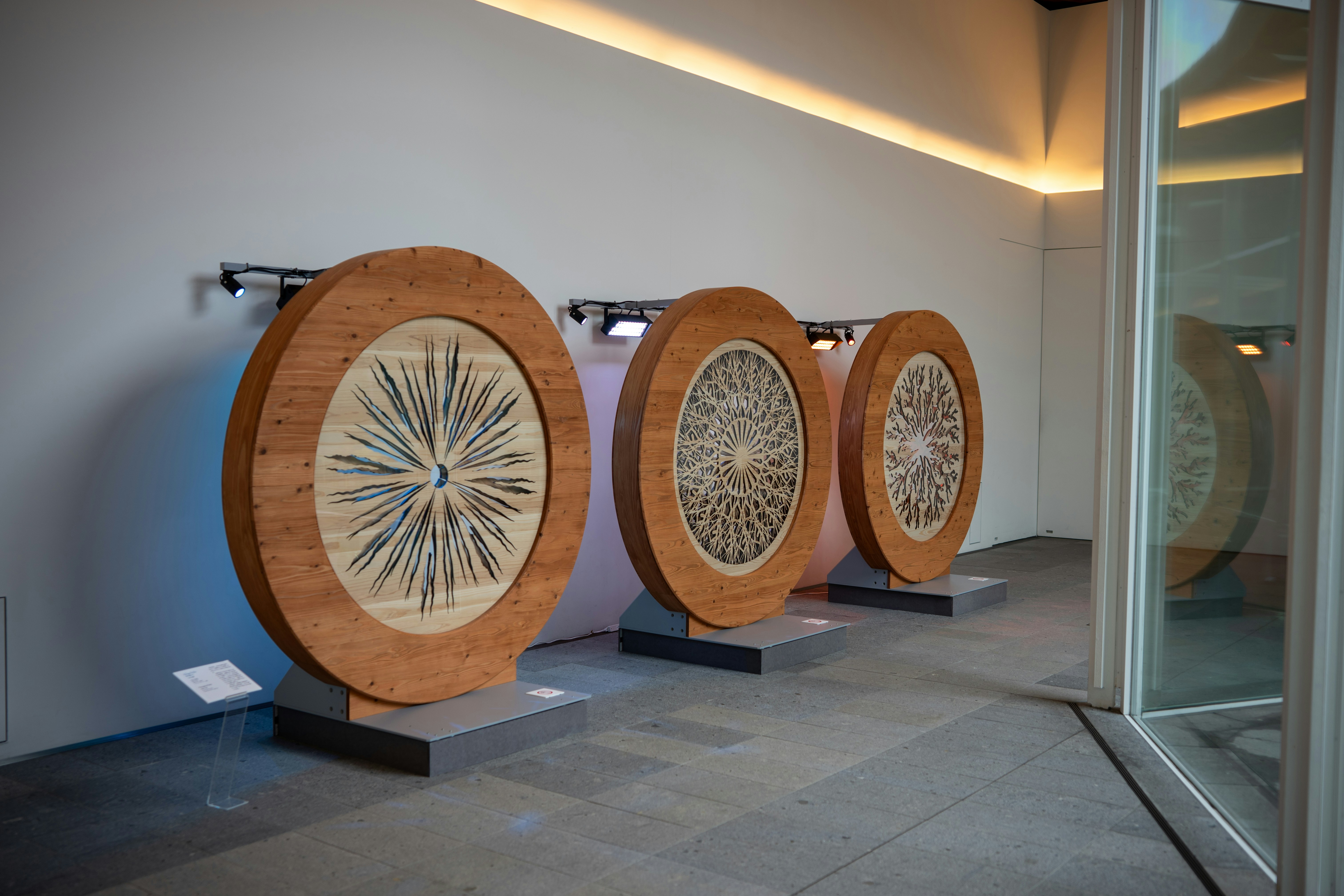 Circular Artefacts: A Row of Drum-Like Art Panels in Soft Gallery Light