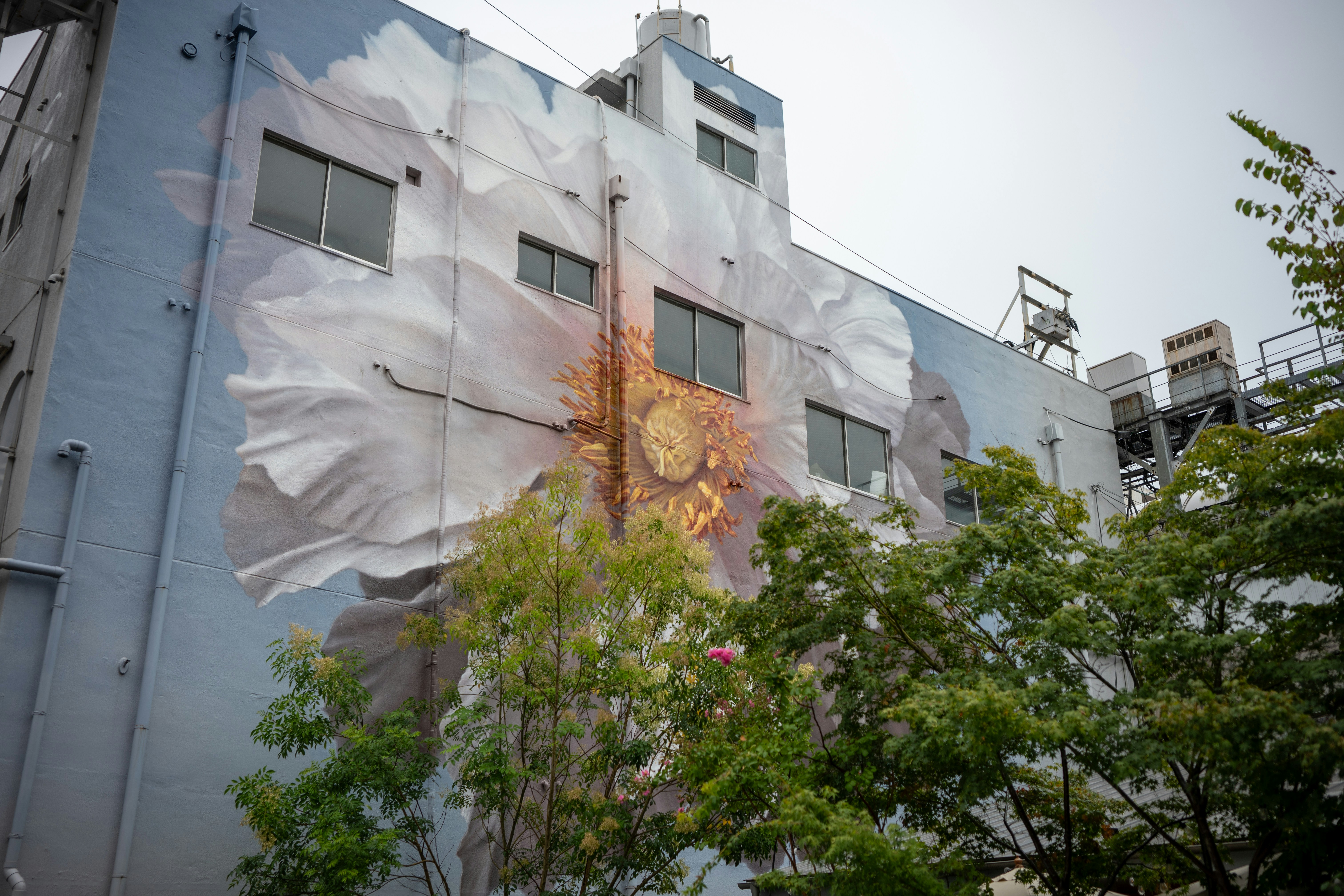 Sunburst Mural on Urban Facade: A Bloom of Color Above Quiet Foliage