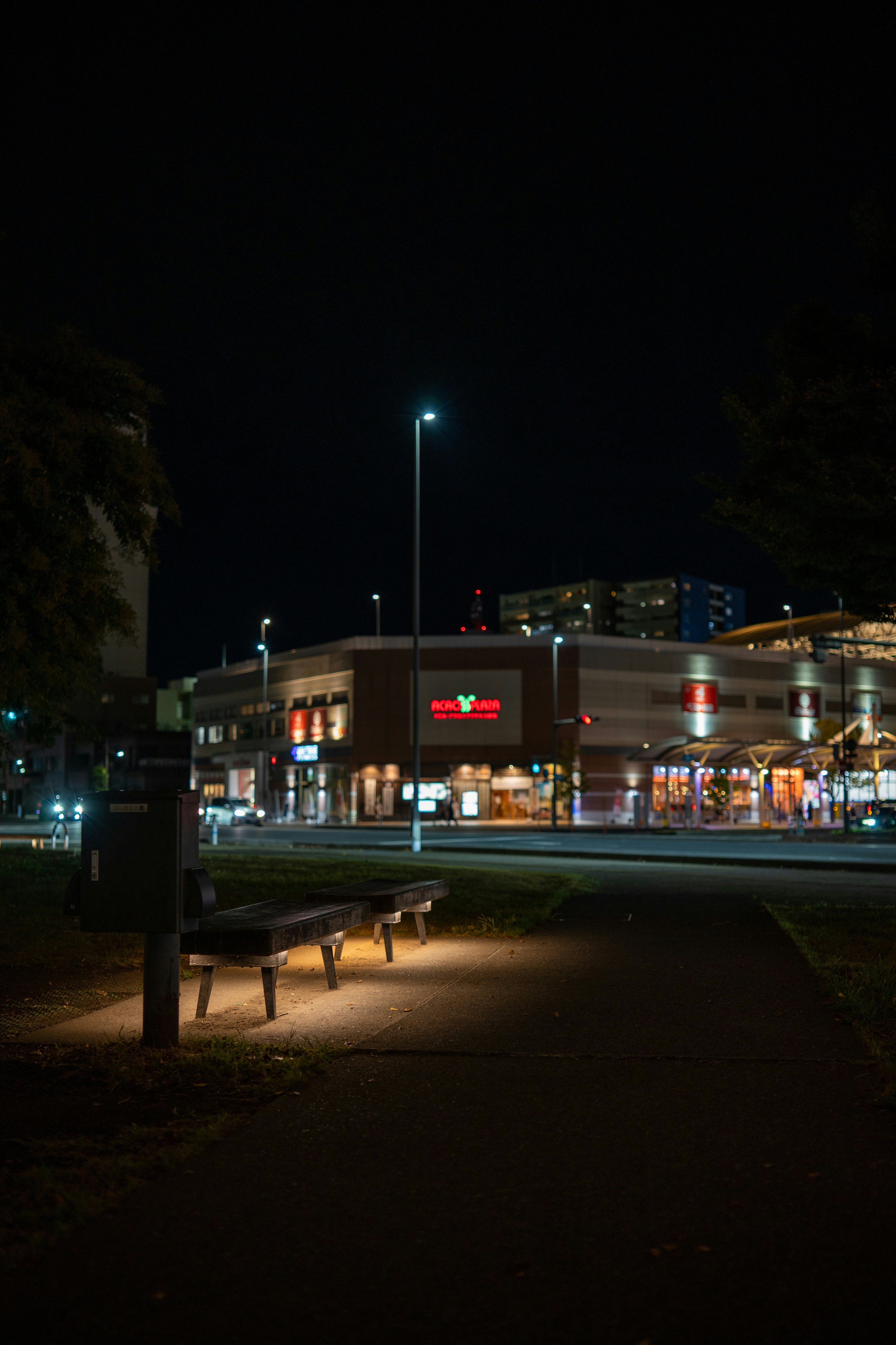 Night Walk in a Quiet Suburban Strip