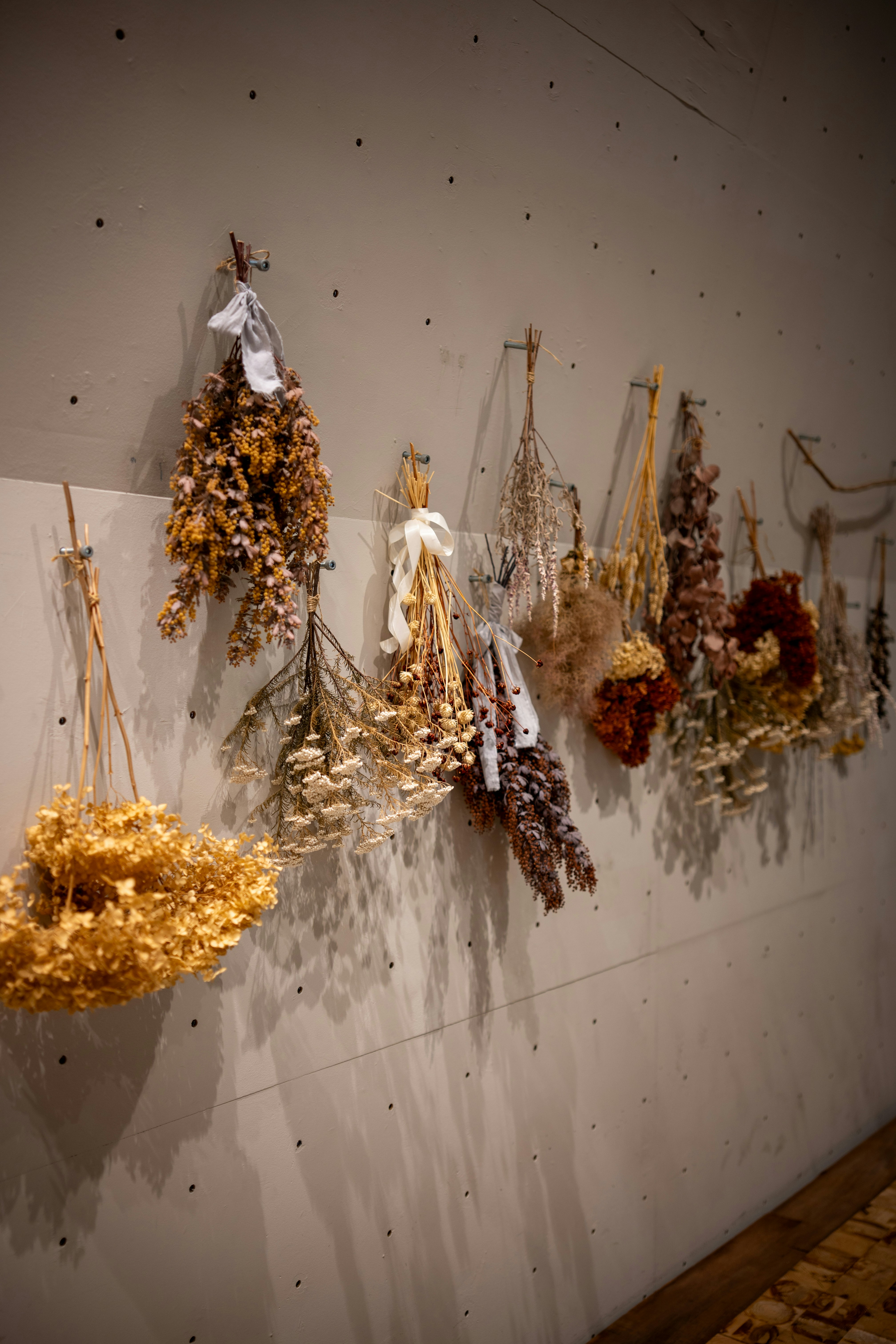 Herbal Arrangements on a Minimal Concrete Wall