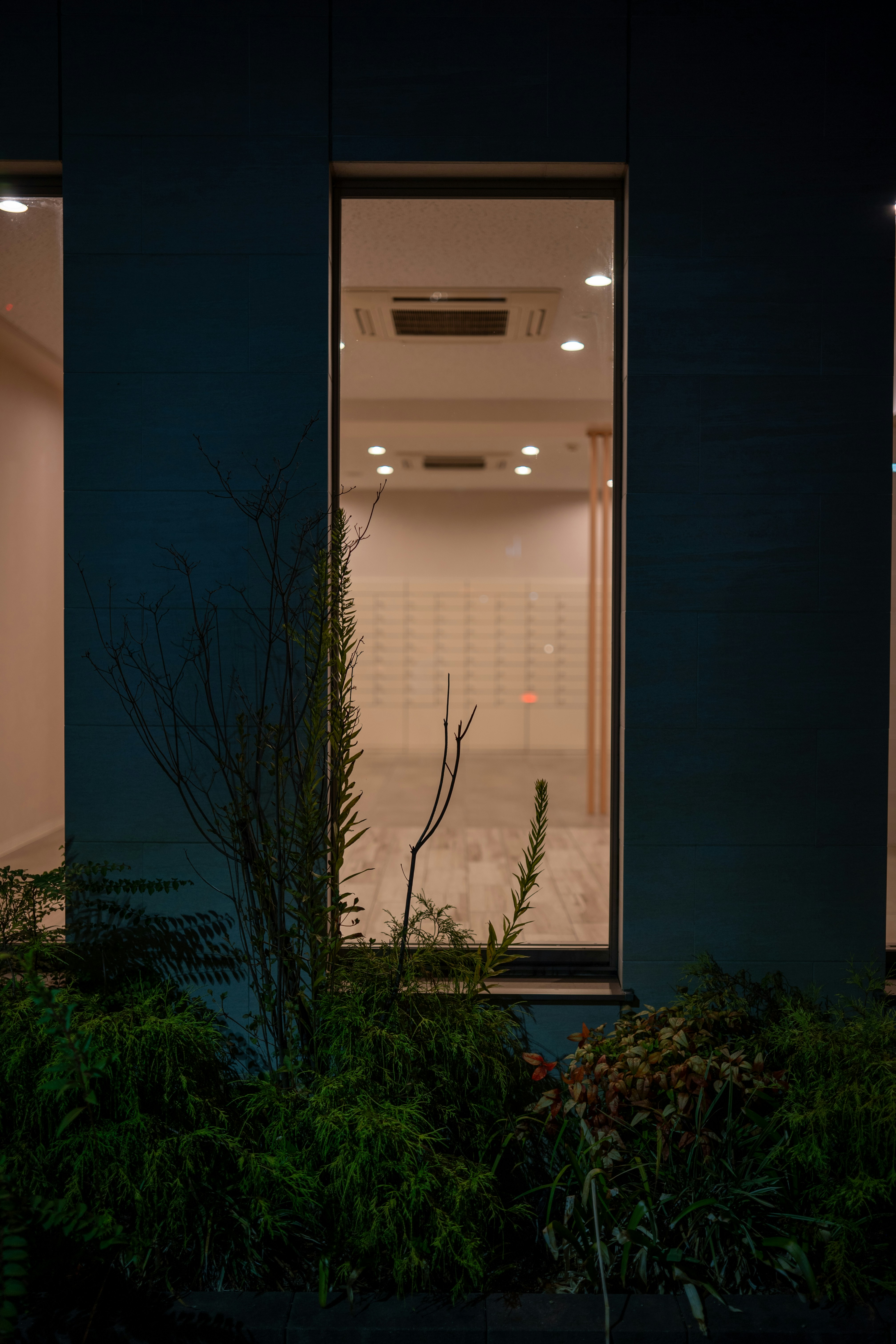 Midnight Atrium: Greenery Framing a Quiet Corridor