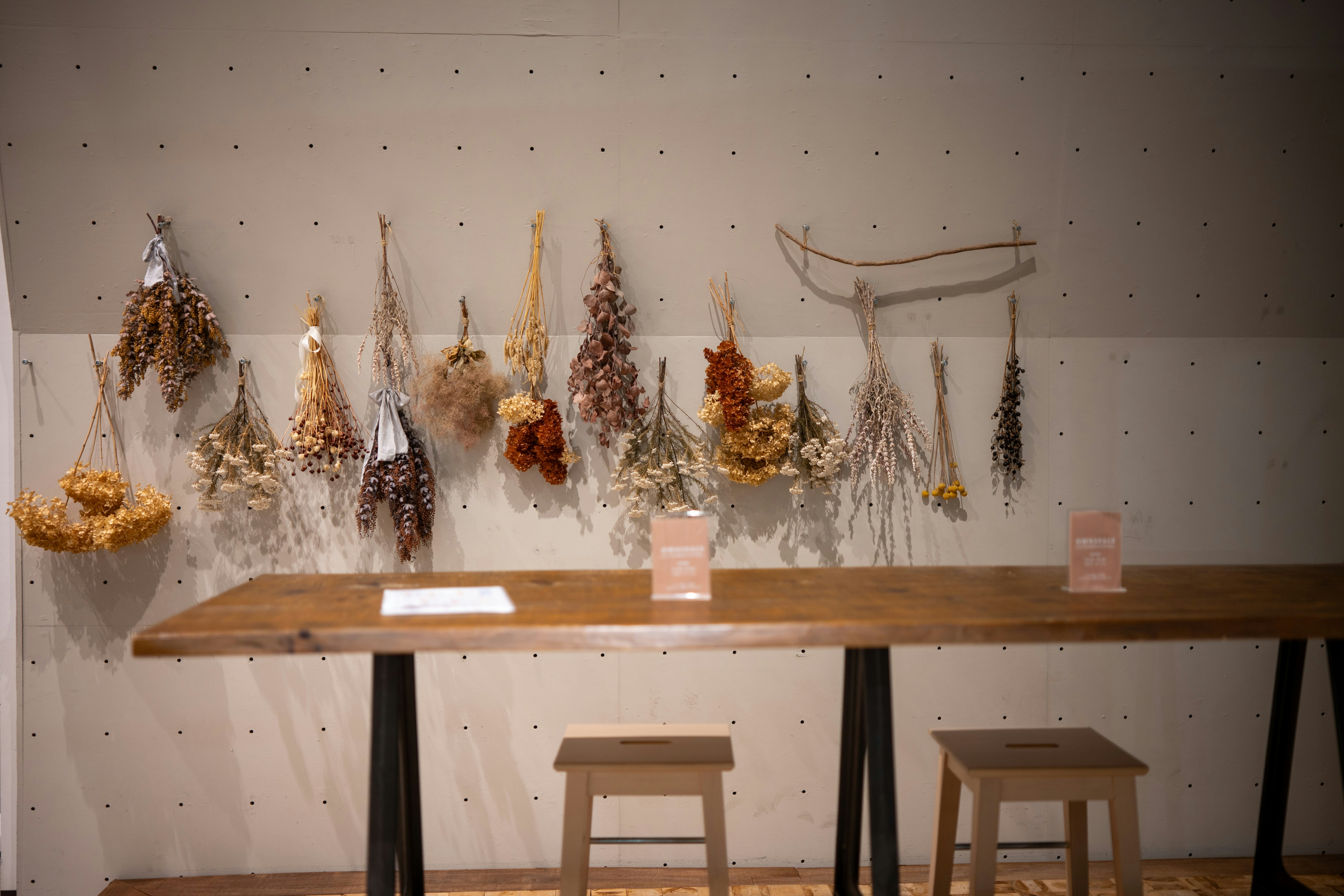 Herbal Harvest on a Quiet Wall