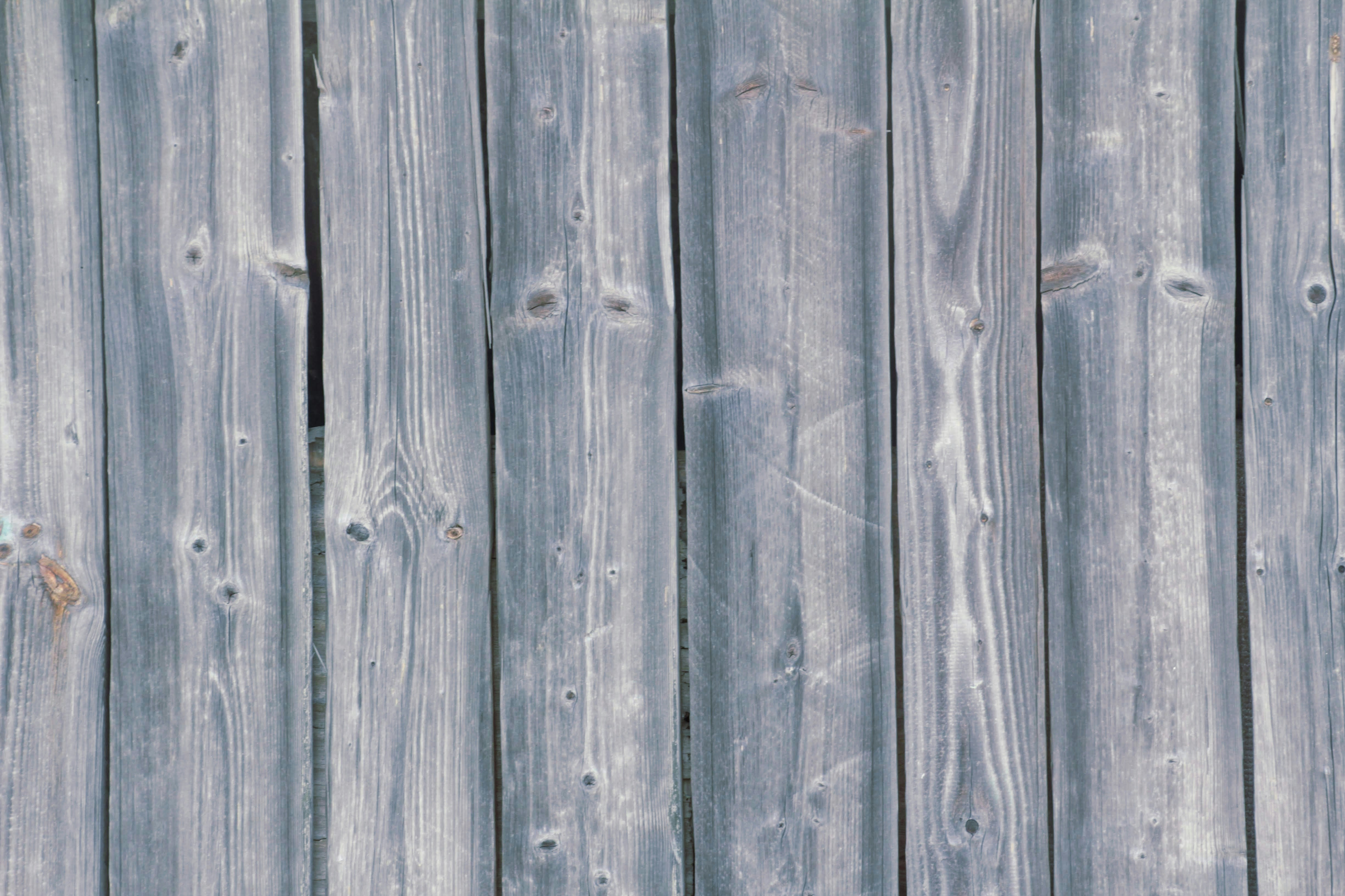 Weathered Slats: A Quiet Frame of Timber Gray
