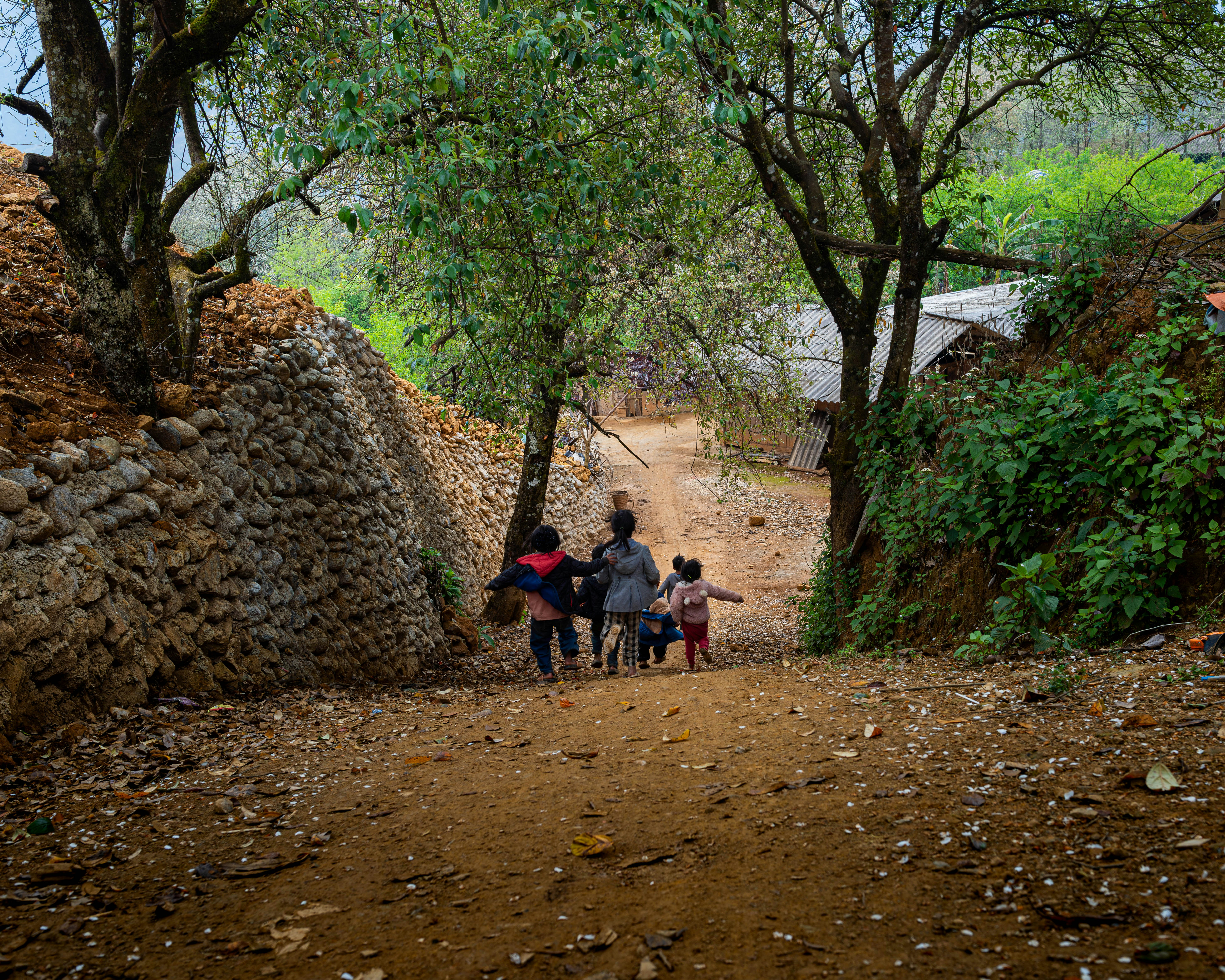 Dusty village path with a stone wall on the left and a lean hillside on the right; children walk away from the camera toward a small, distant settlement, under a canopy of trees.