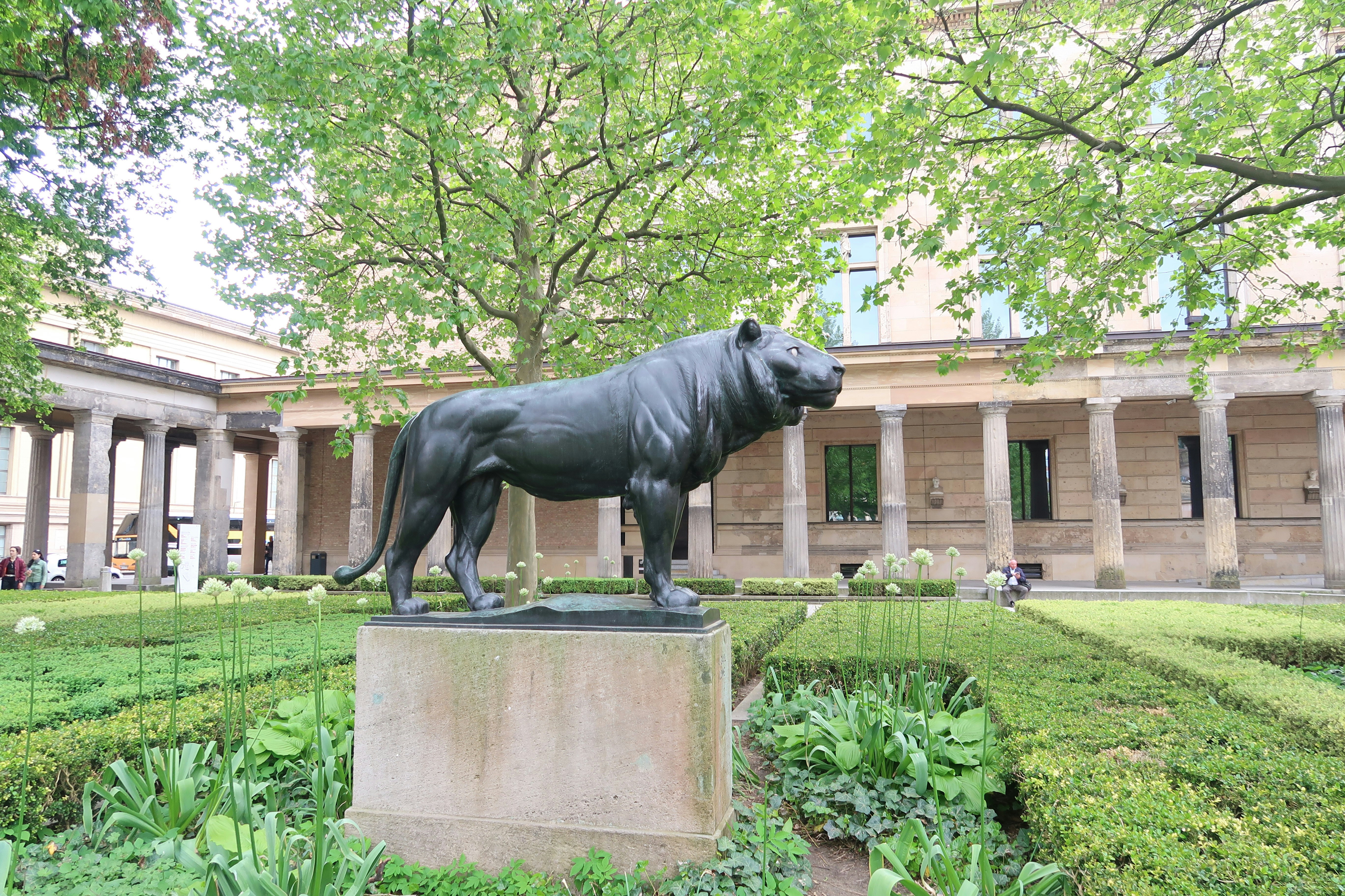 The Guardian in the Courtyard: A Lion statue Amid Classical Columns