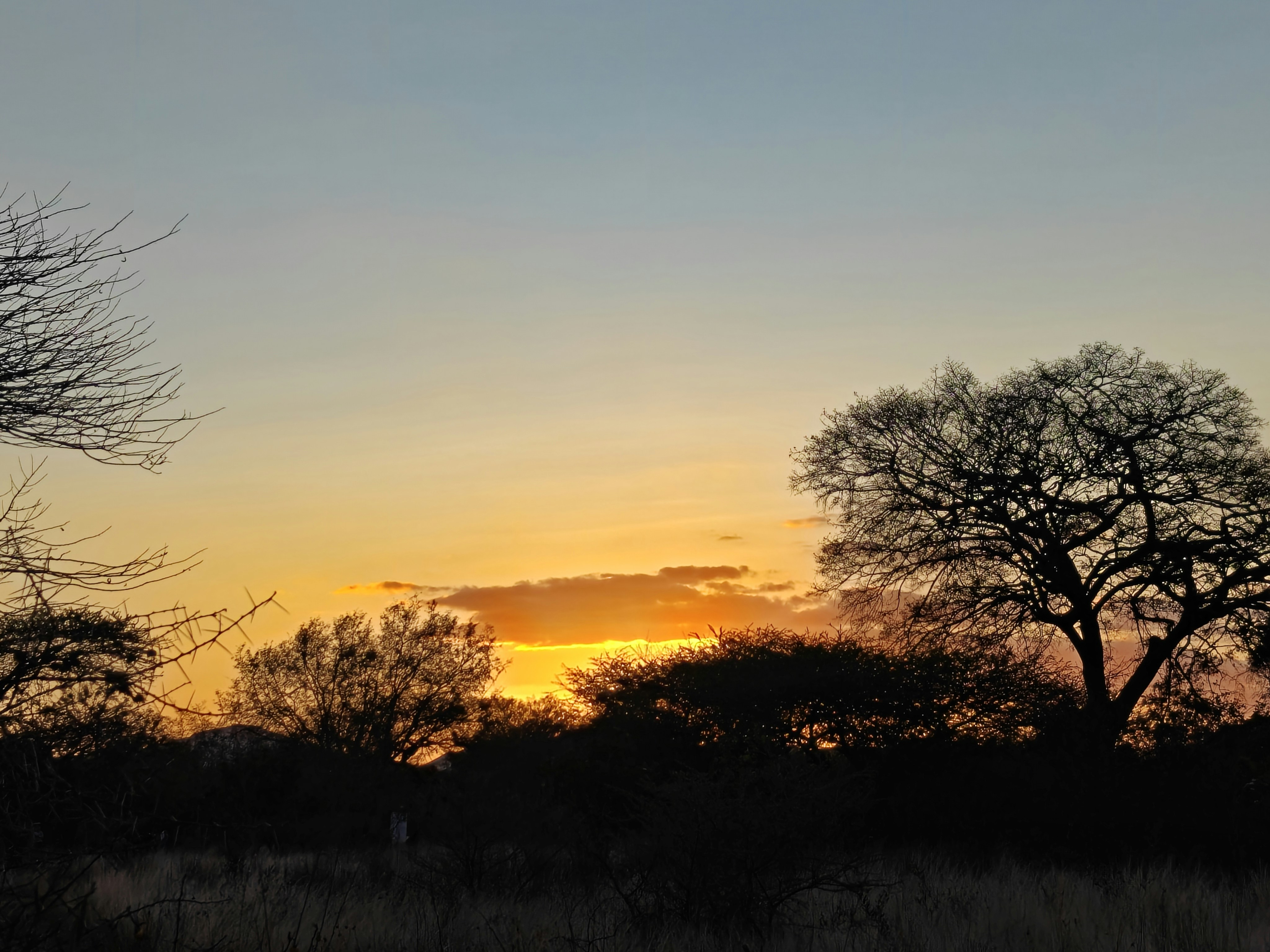 Golden Horizon Over Silent Savannah