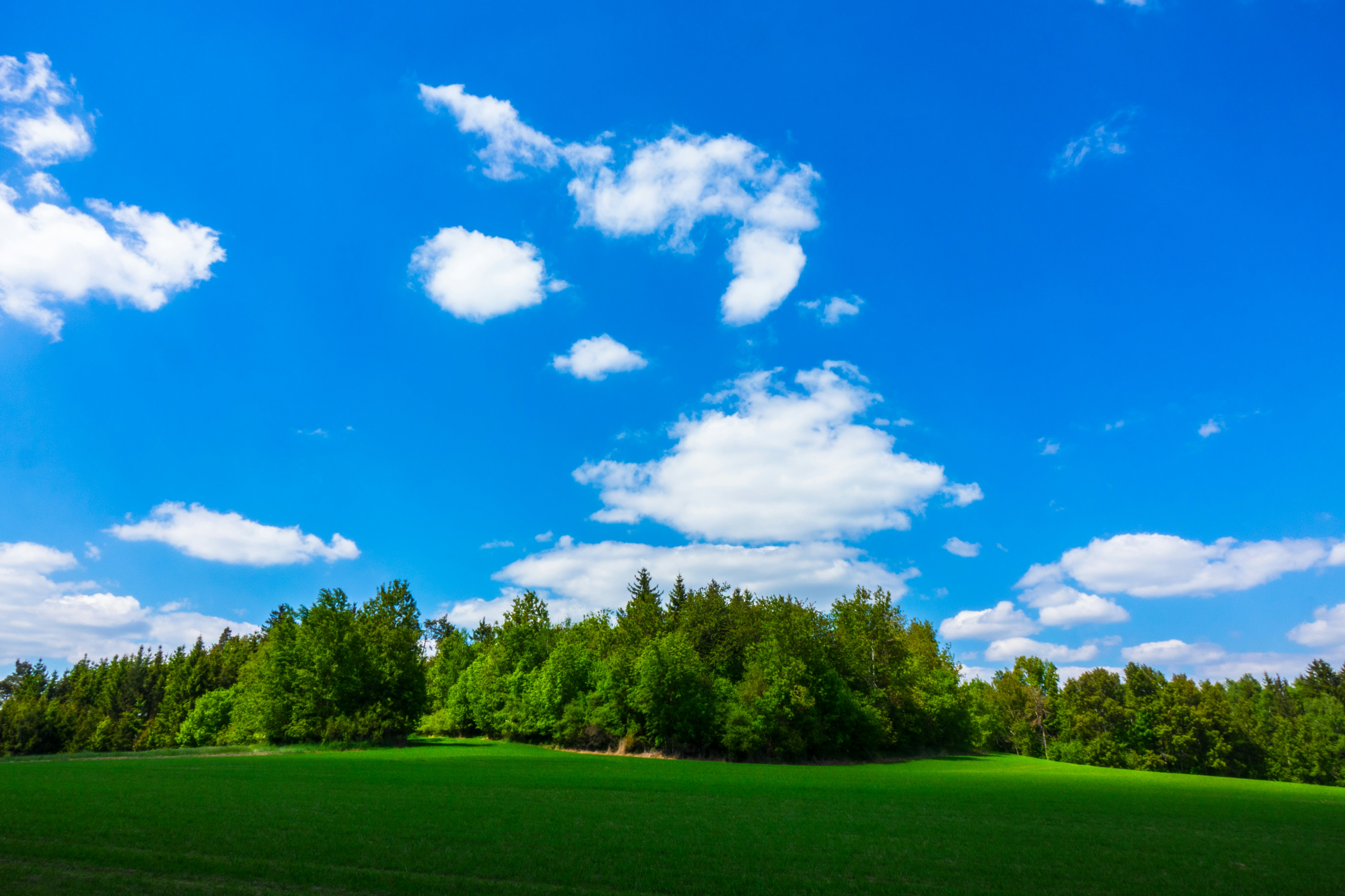 Vibrant landscape with a bright blue sky, scattered white clouds, and a treeline above a green field. This image captures an expansive, peaceful countryside scene with natural color and depth.