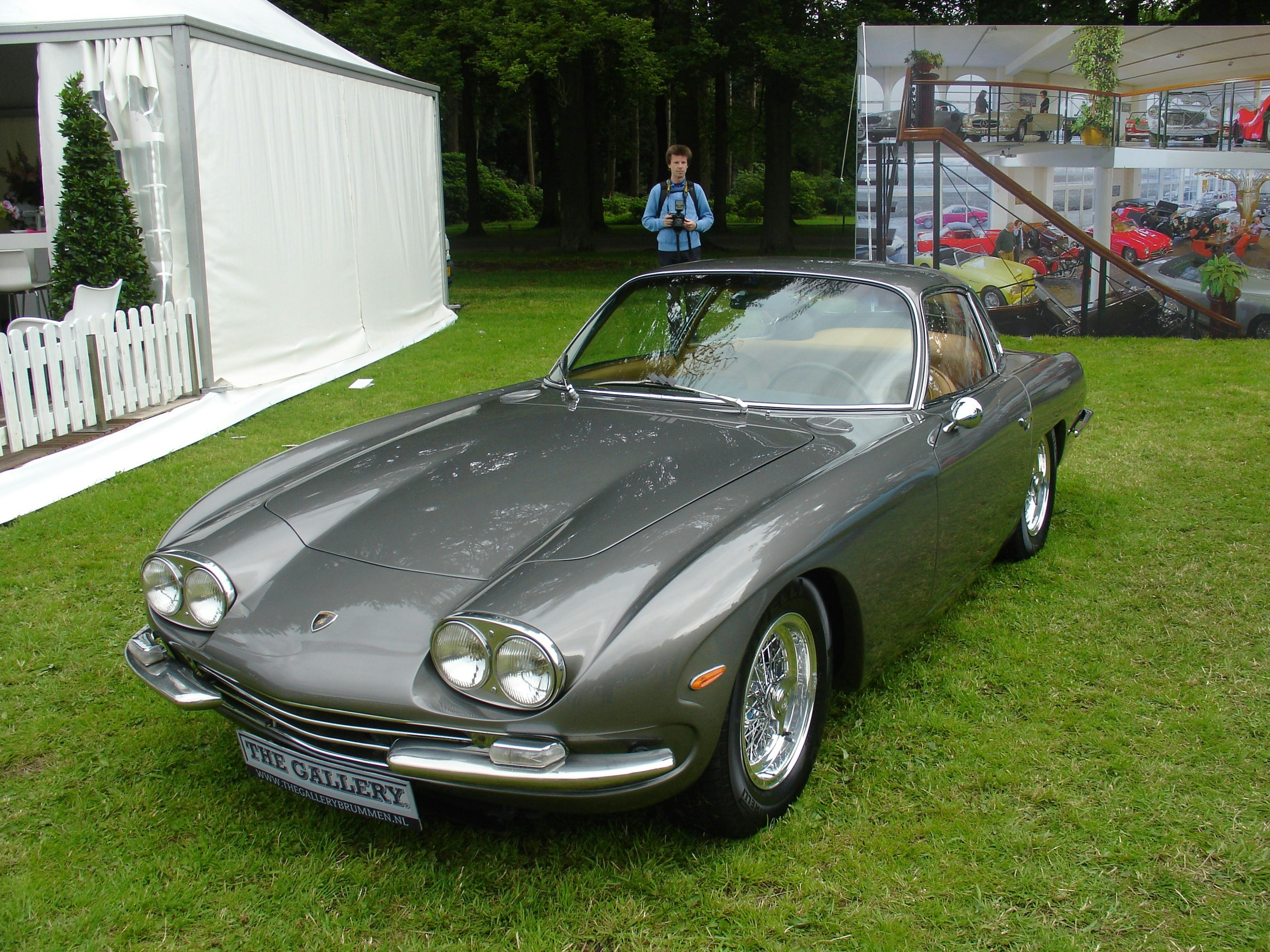 Grey Classic: A Jaguar E-Type Resting on a Lush Lawn