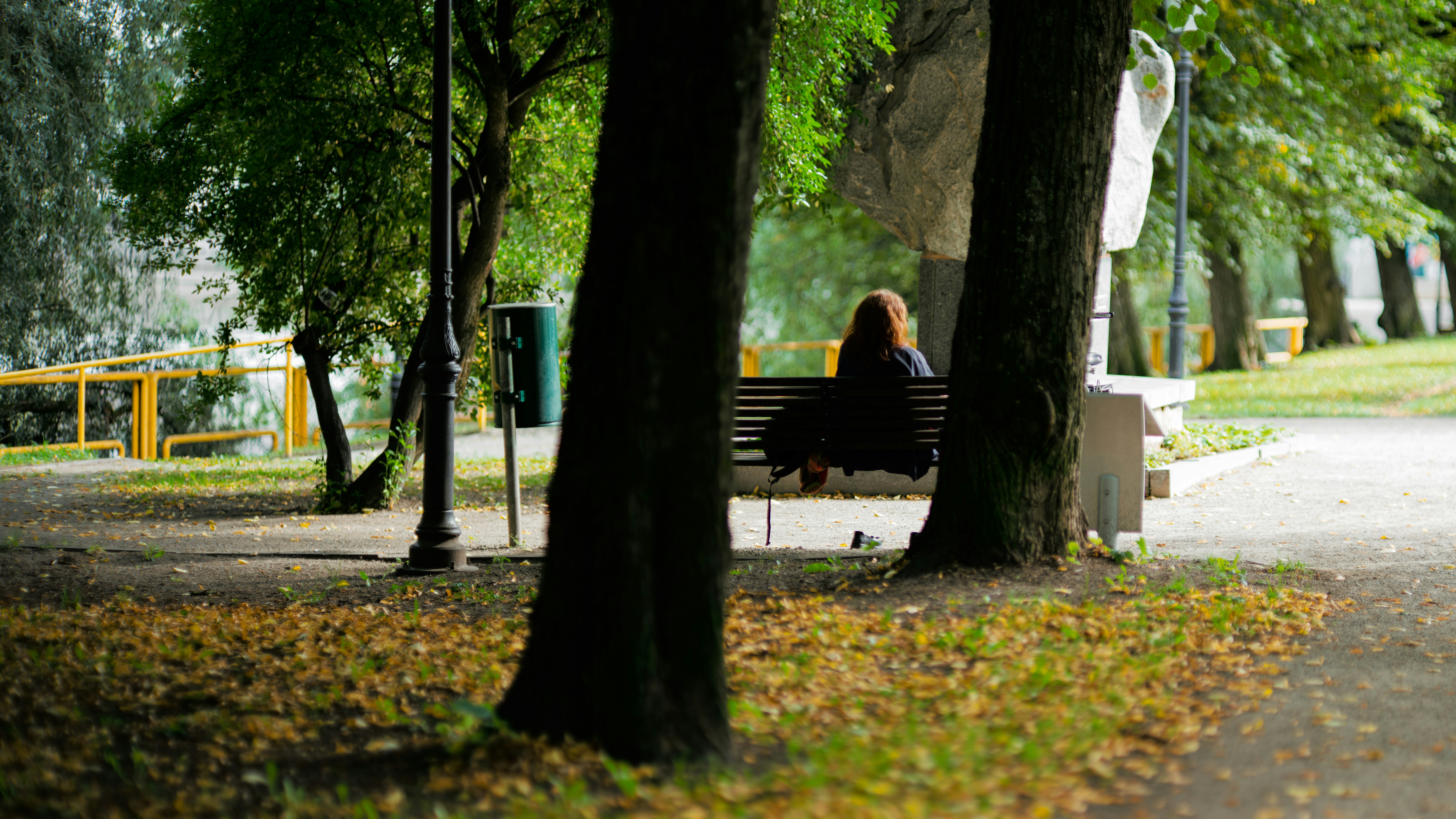 A solitary figure sits on a bench beneath trees in a damp park, distant figures in the background; the scene captures calm solitude and autumnal atmosphere in a candid park setting.