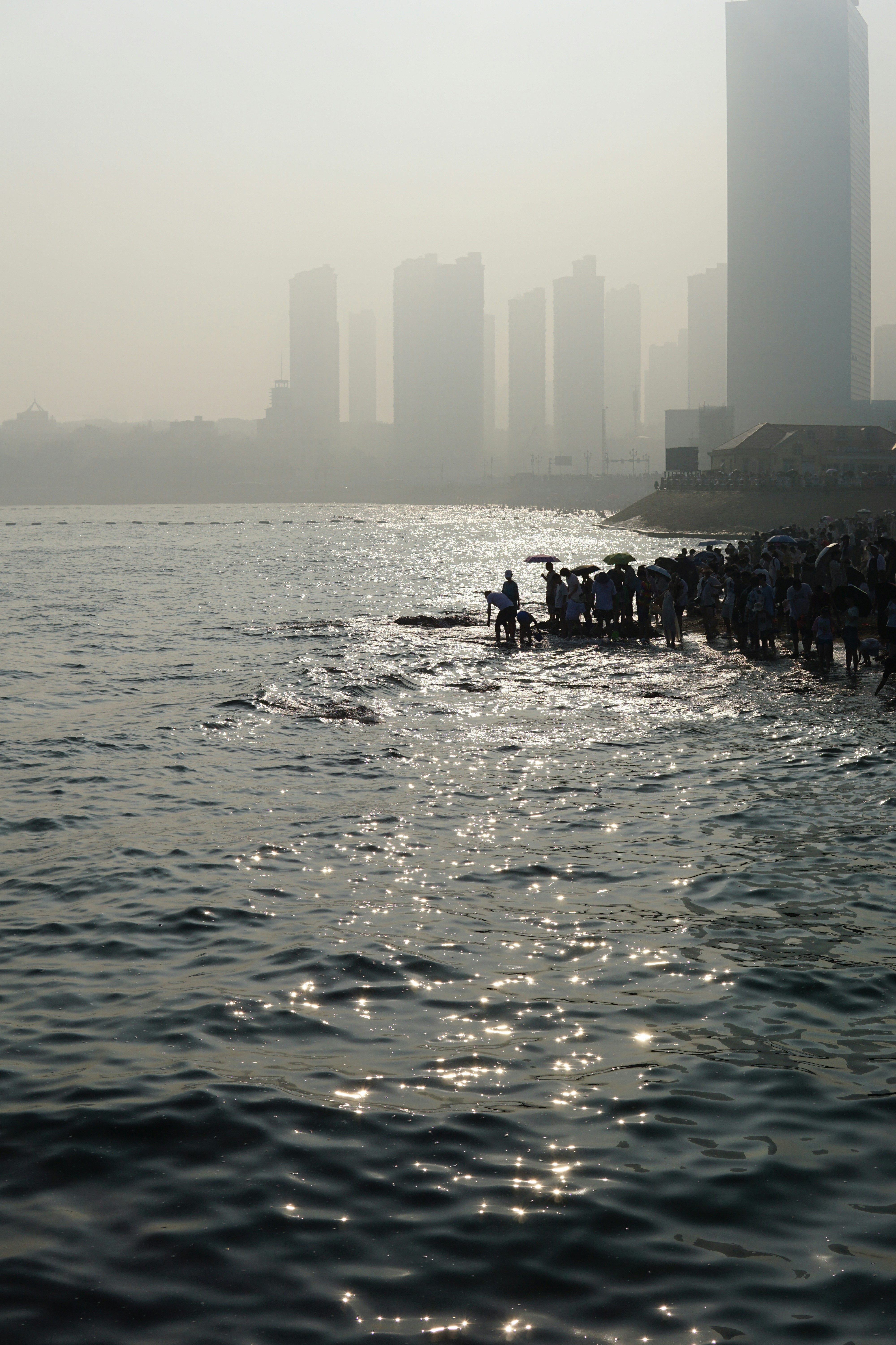 Crowd at the Edge: Silhouettes and City Skyline in Mist