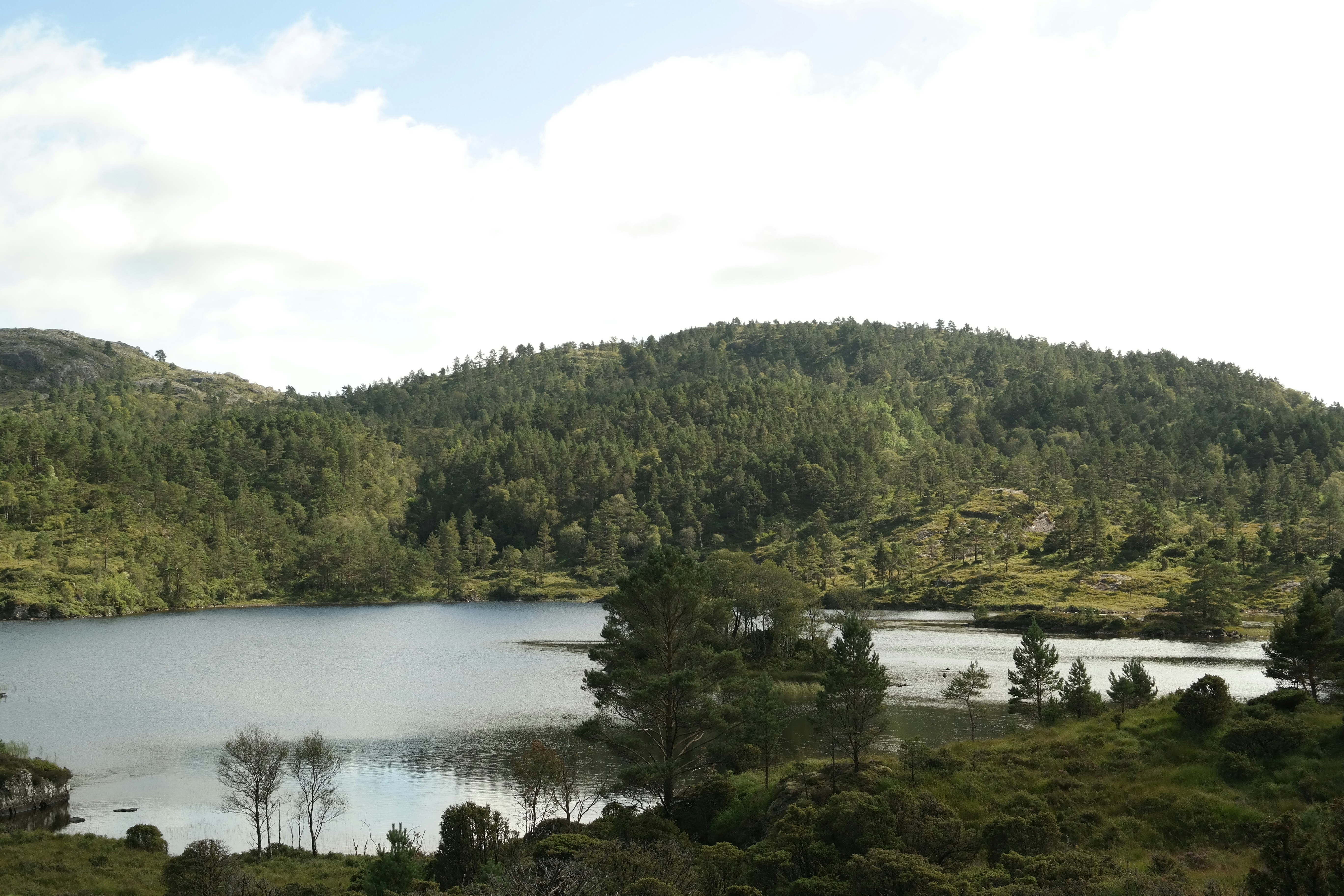Lakeside Crest: A Quiet Highland Reach