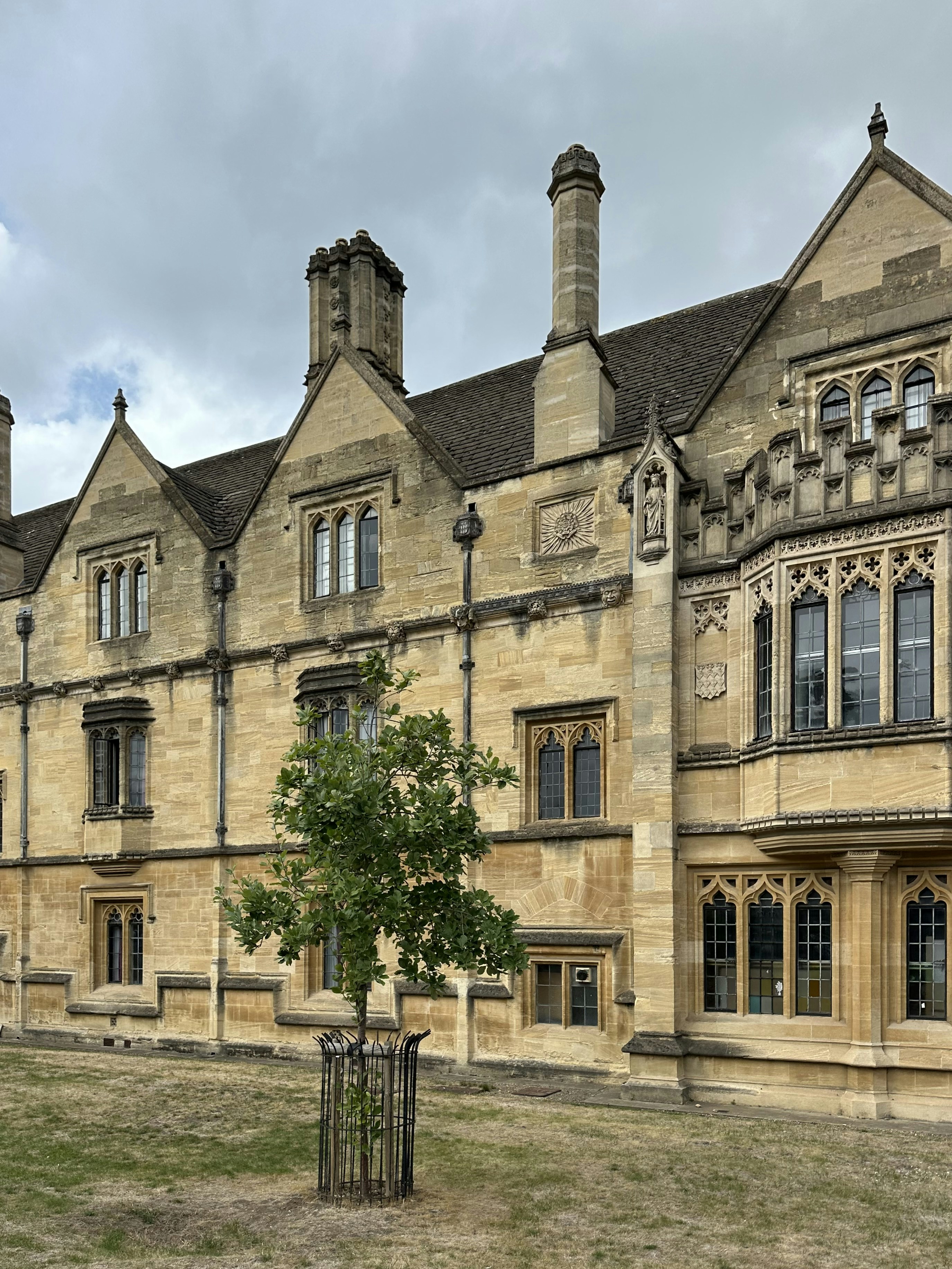 Stone Collegiate Facade with Canary Tree centerpiece