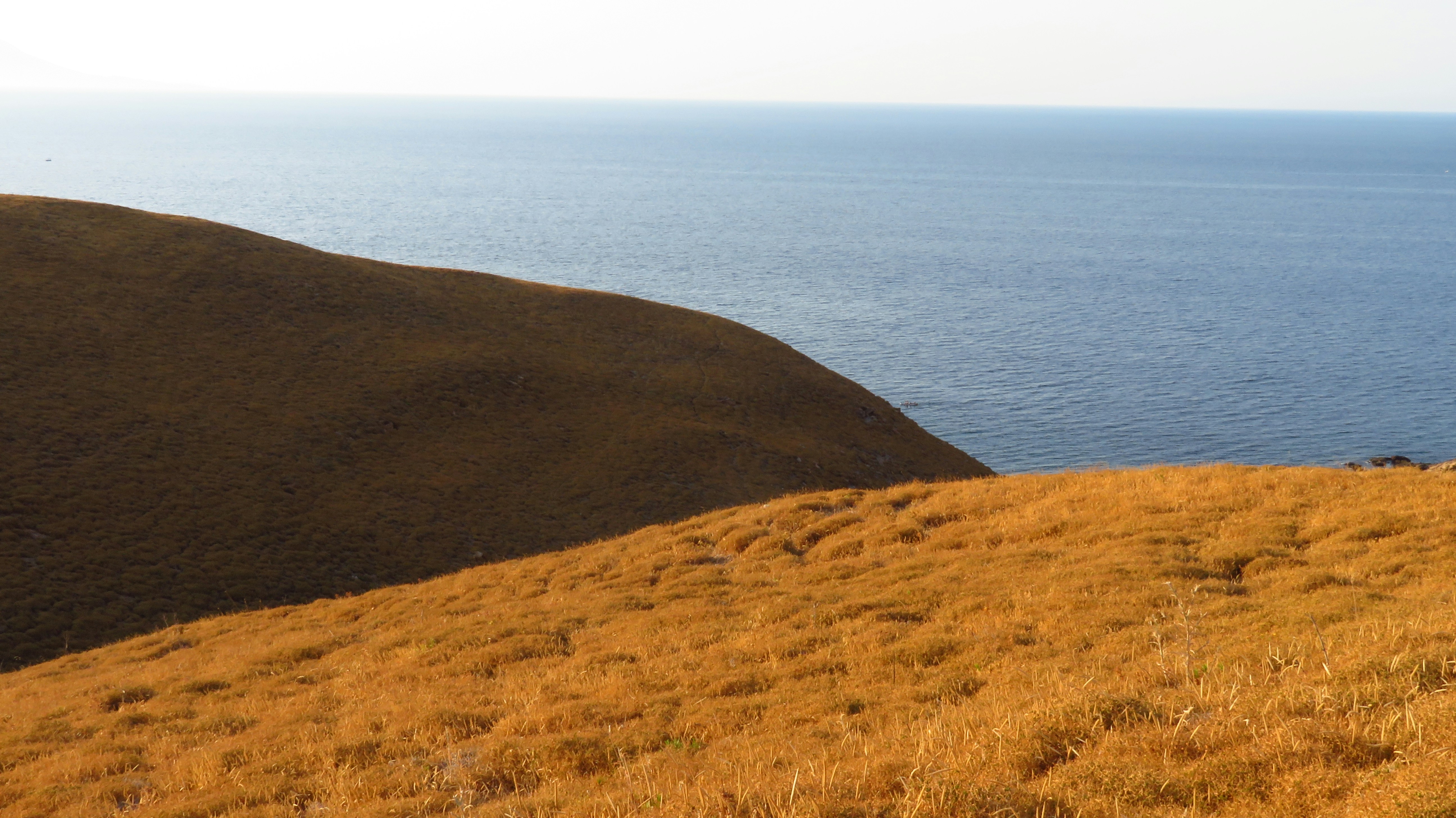 Golden Dunes Meet the Sea: Quiet Horizon