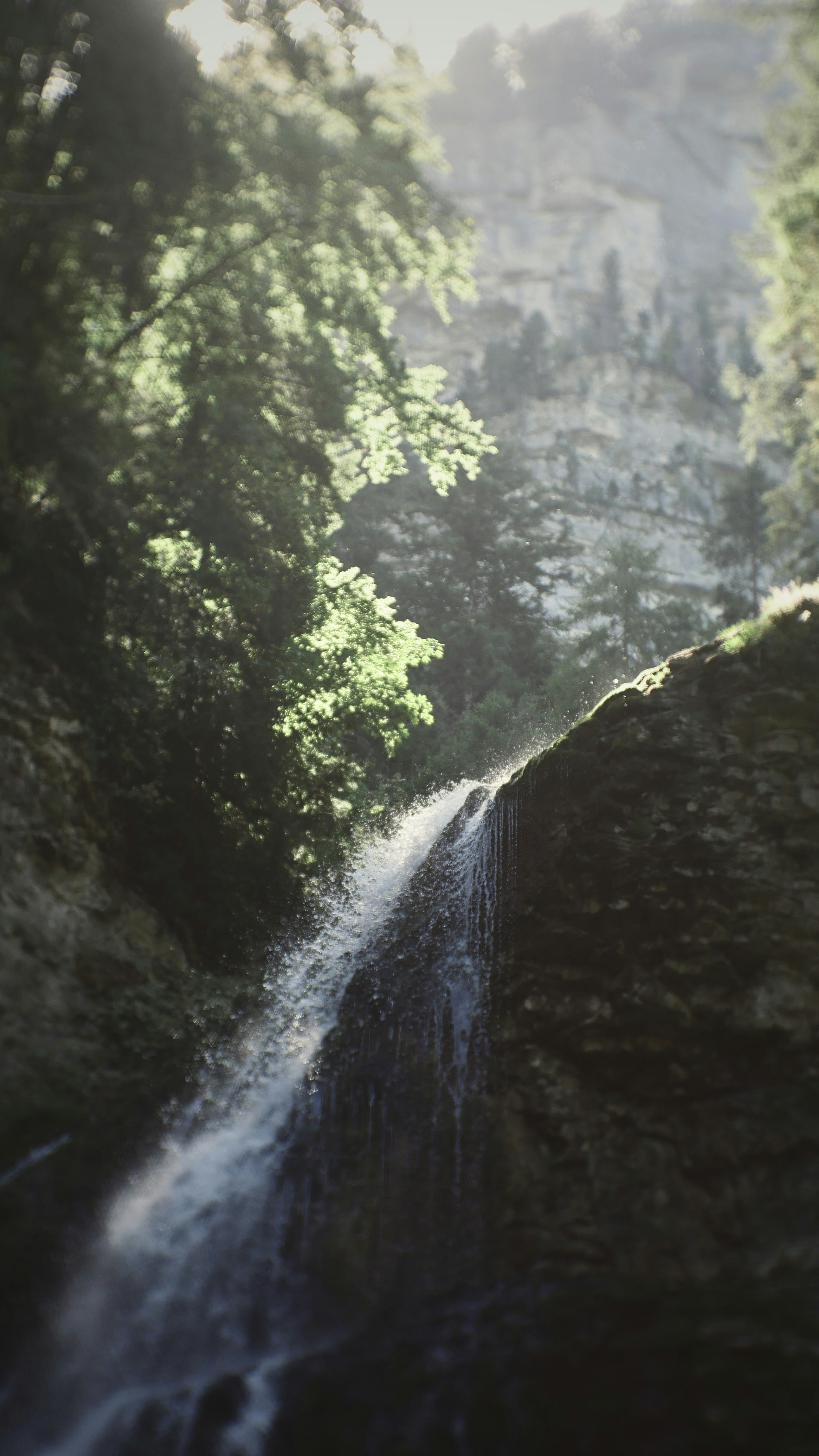 Waterfall cascades down a rugged cliff framed by lush trees in dappled sunlight; a tranquil, forested scene emphasizing natural textures and light.