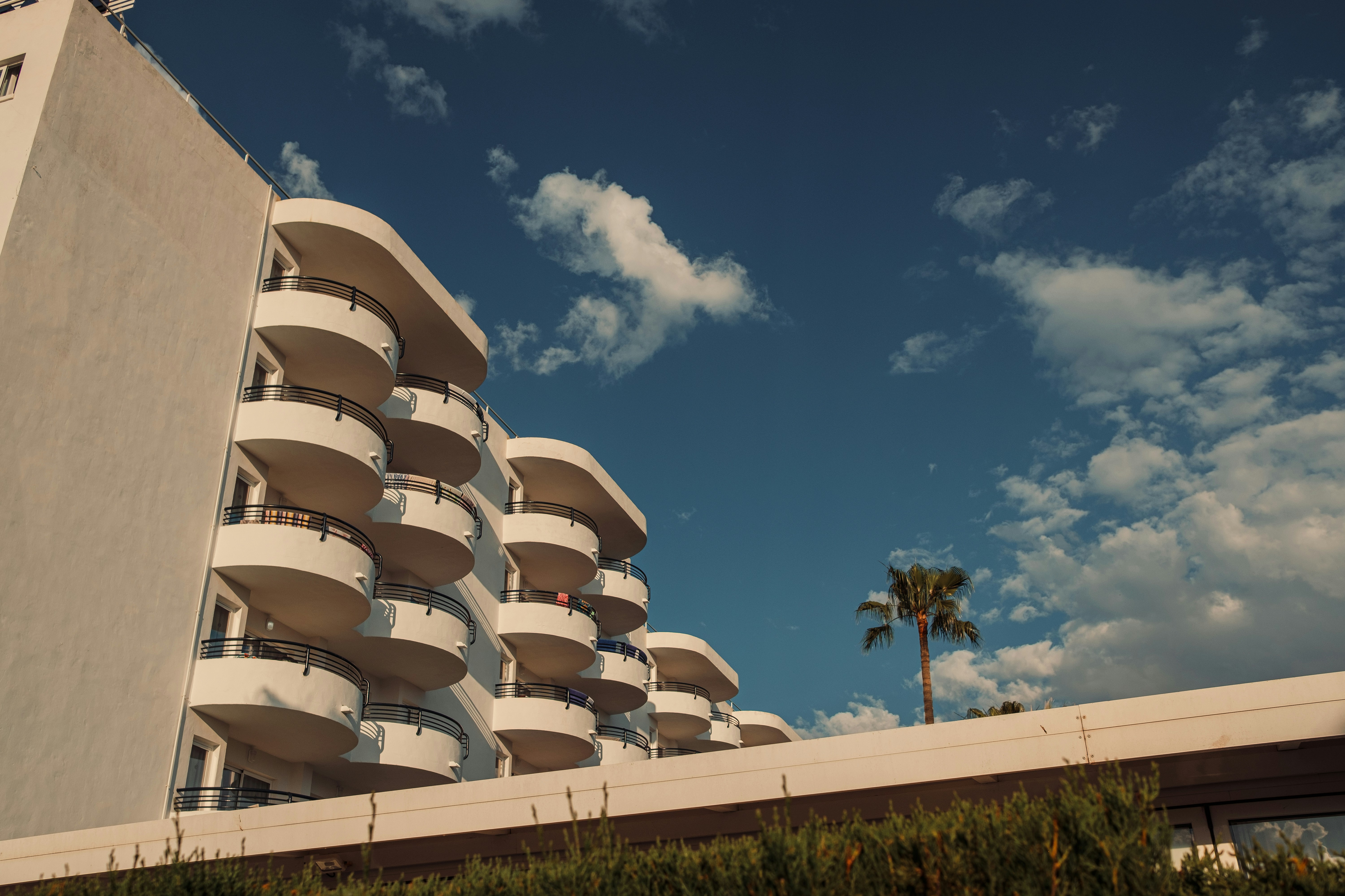 Balcony Row and Tall Palm under a Bright Coastal Sky