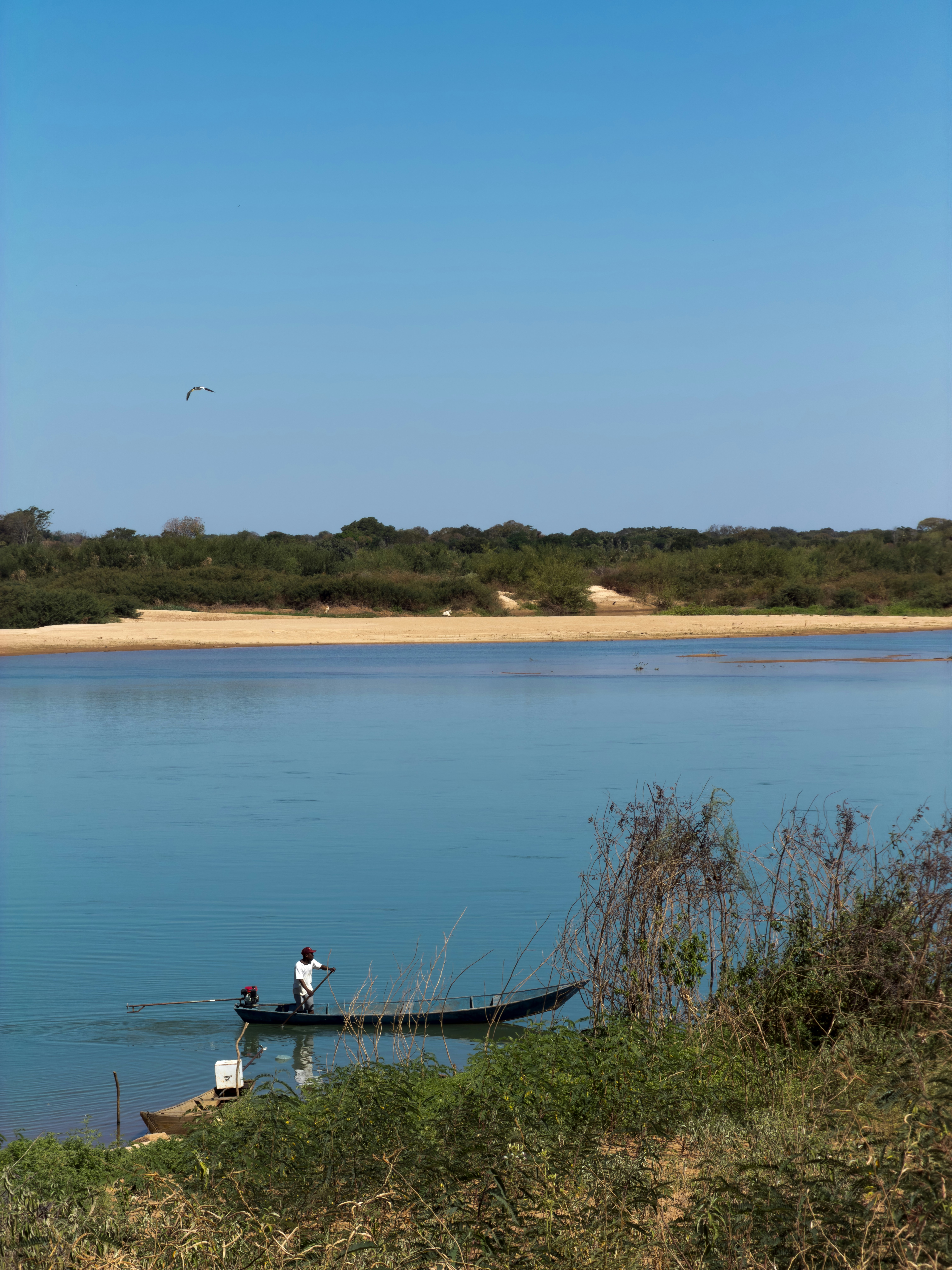 Small fishing boat on calm river near the shore with distant treeline and clear blue sky; an avian silhouette soars above. A natural landscape scene suitable for a serene riverside moment.