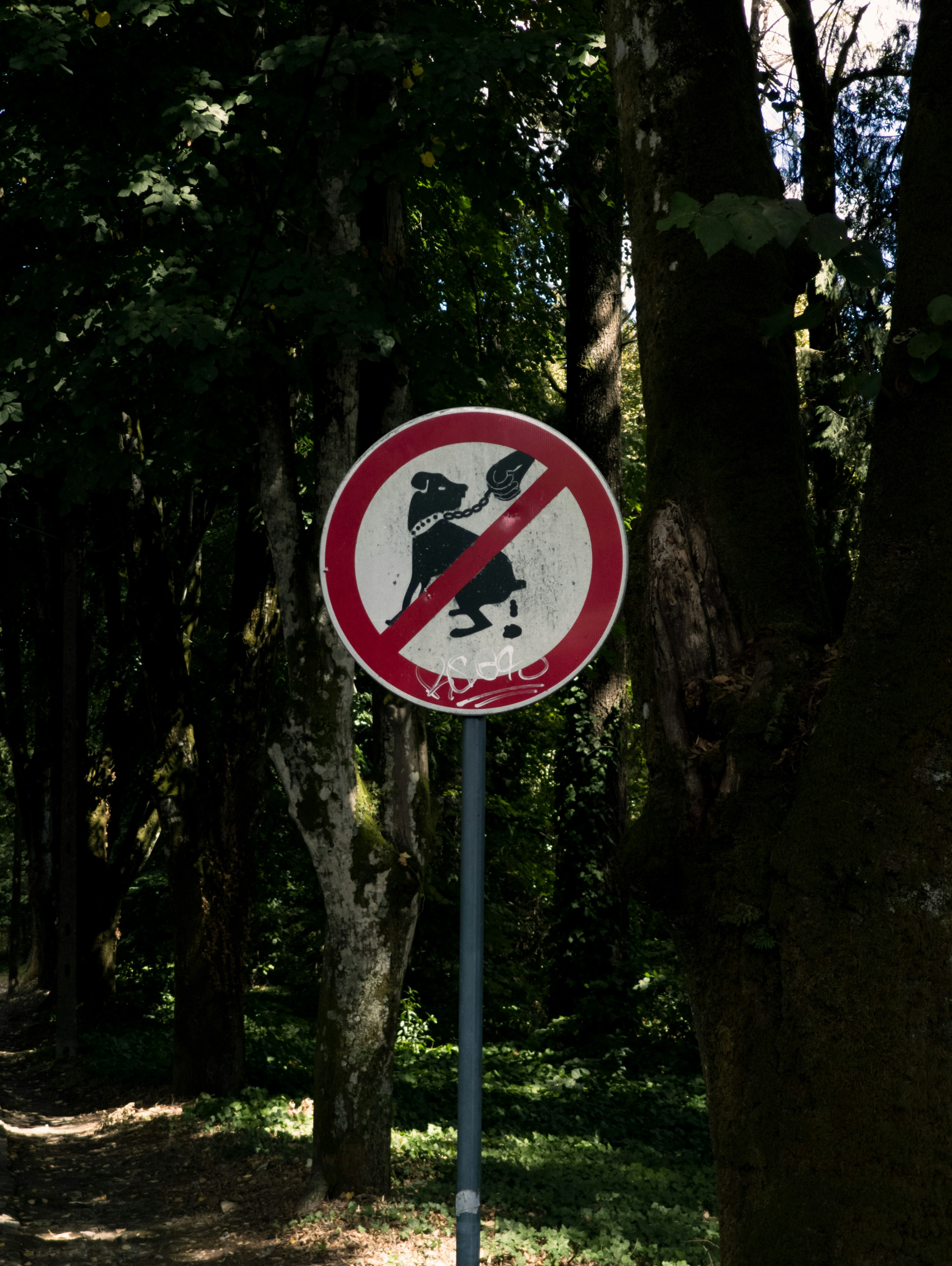No Entry for Pups: The Signguard in the Forest