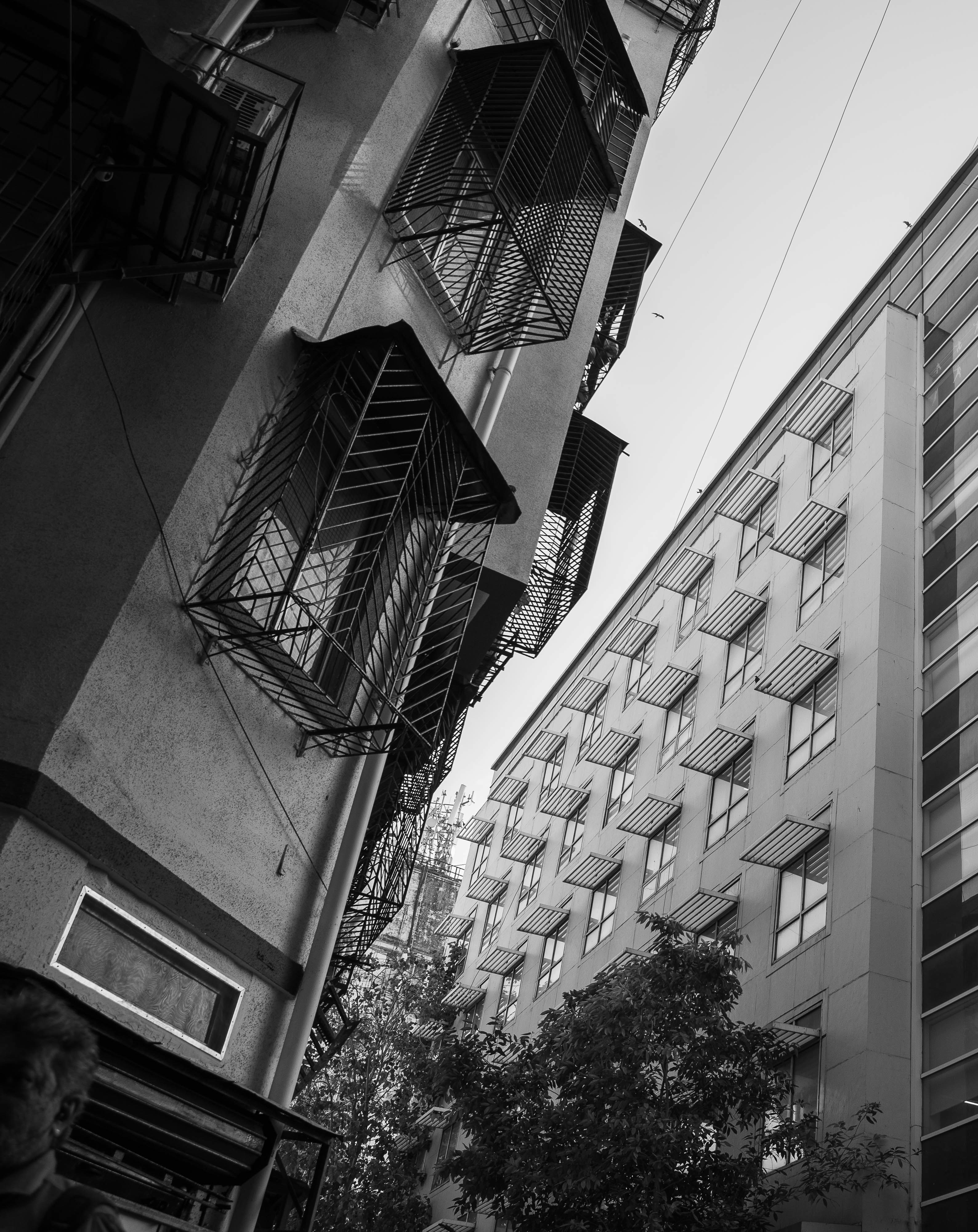 Urban Window Grid: A Black-and-White Ascent Between Buildings