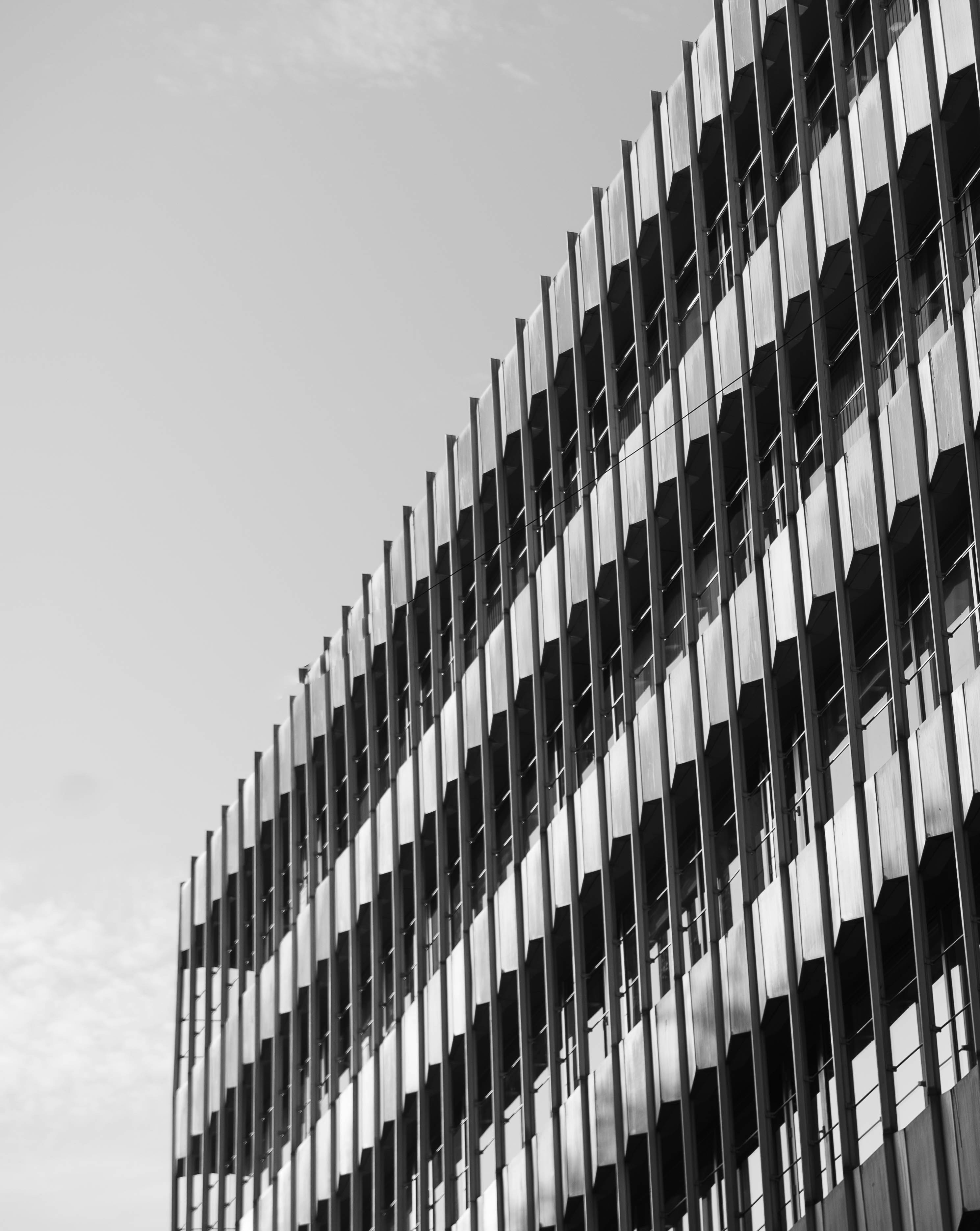 Diagonal Glass: A Monochrome Facade Traversed by Light