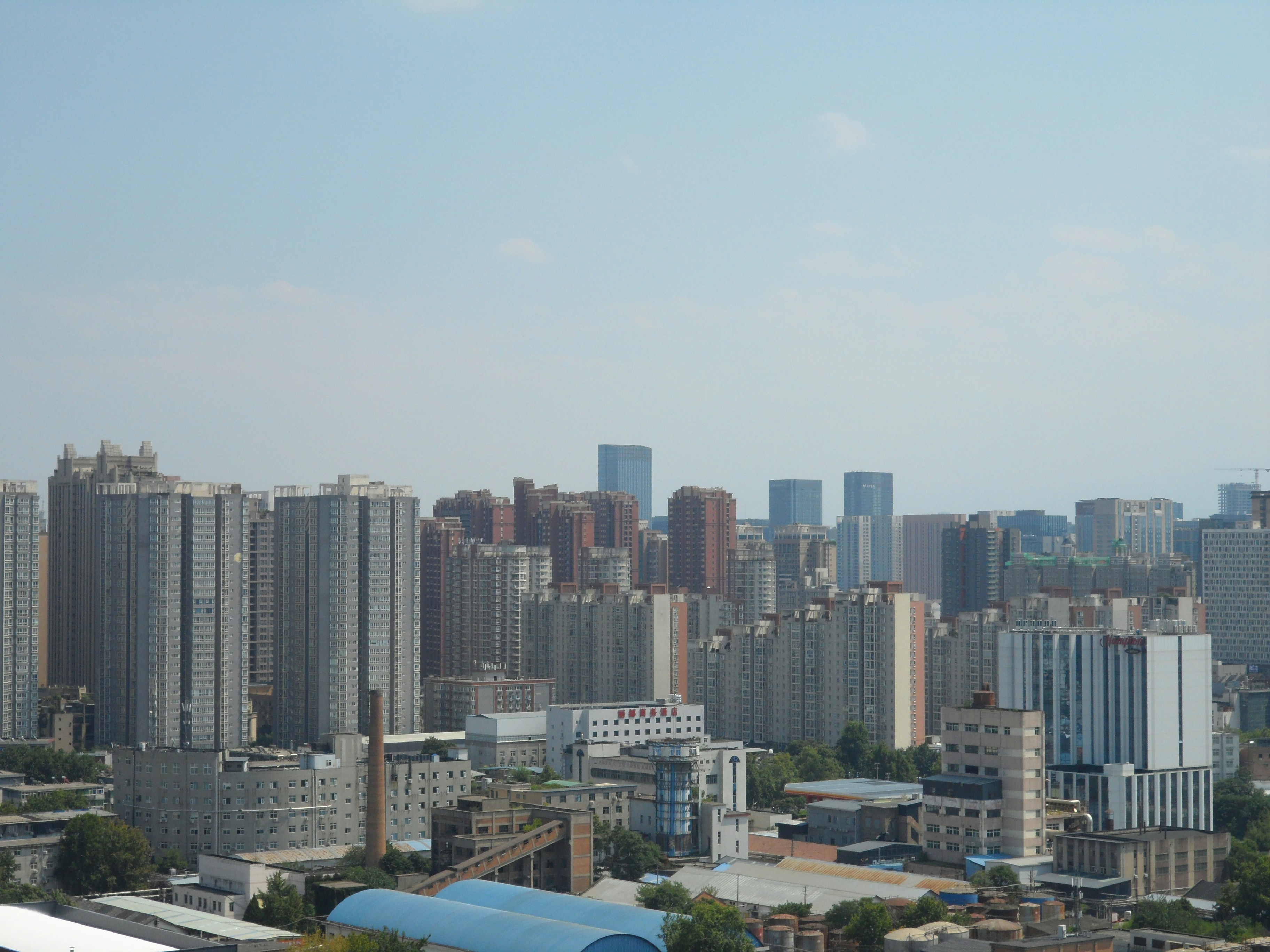 Urban Horizon: A Quiet展 of Skyscraper Geometry at Noon
