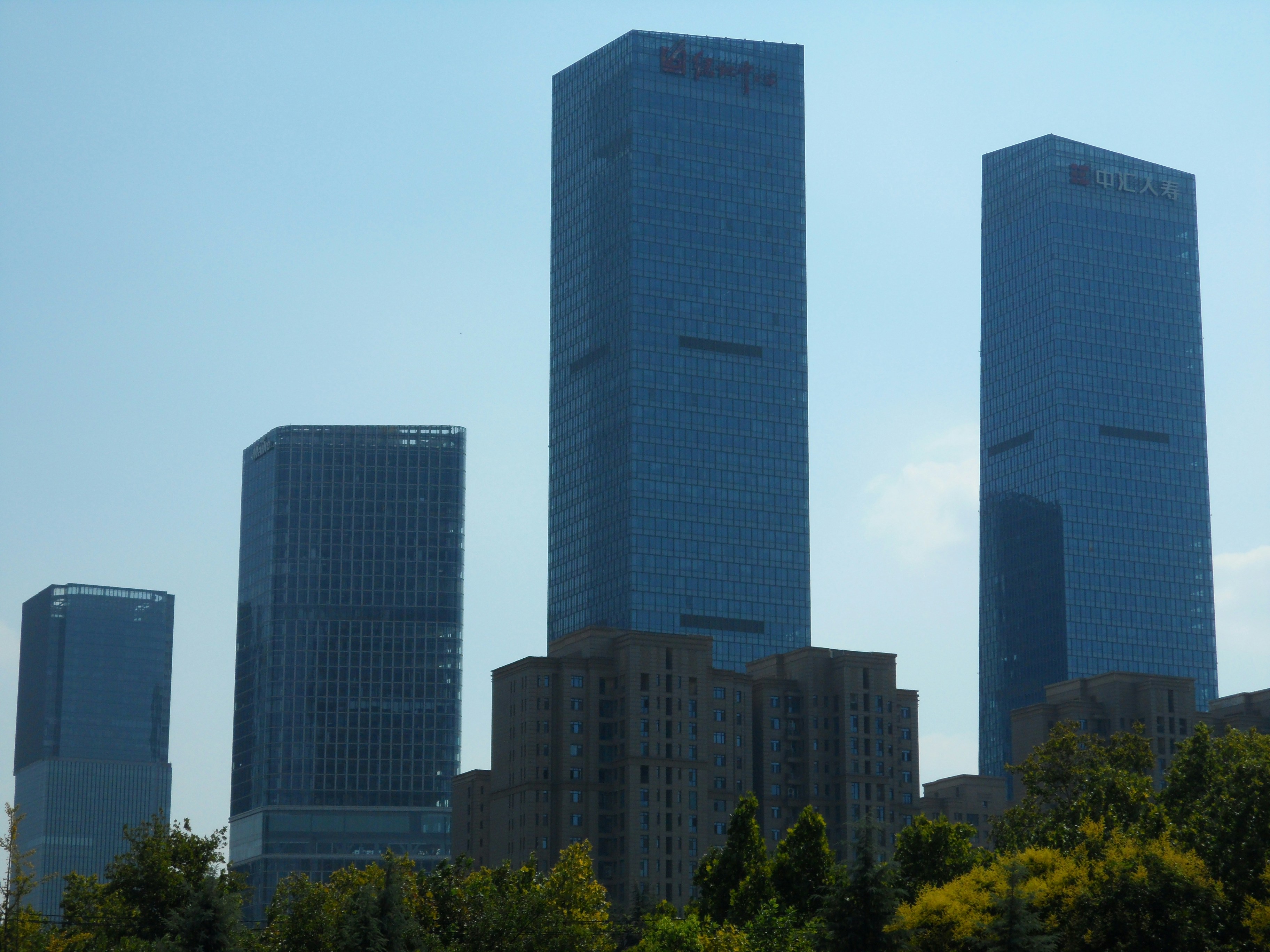 Toward the Twin Peaks: A Glass-Front Skyline Rising Over Greenery