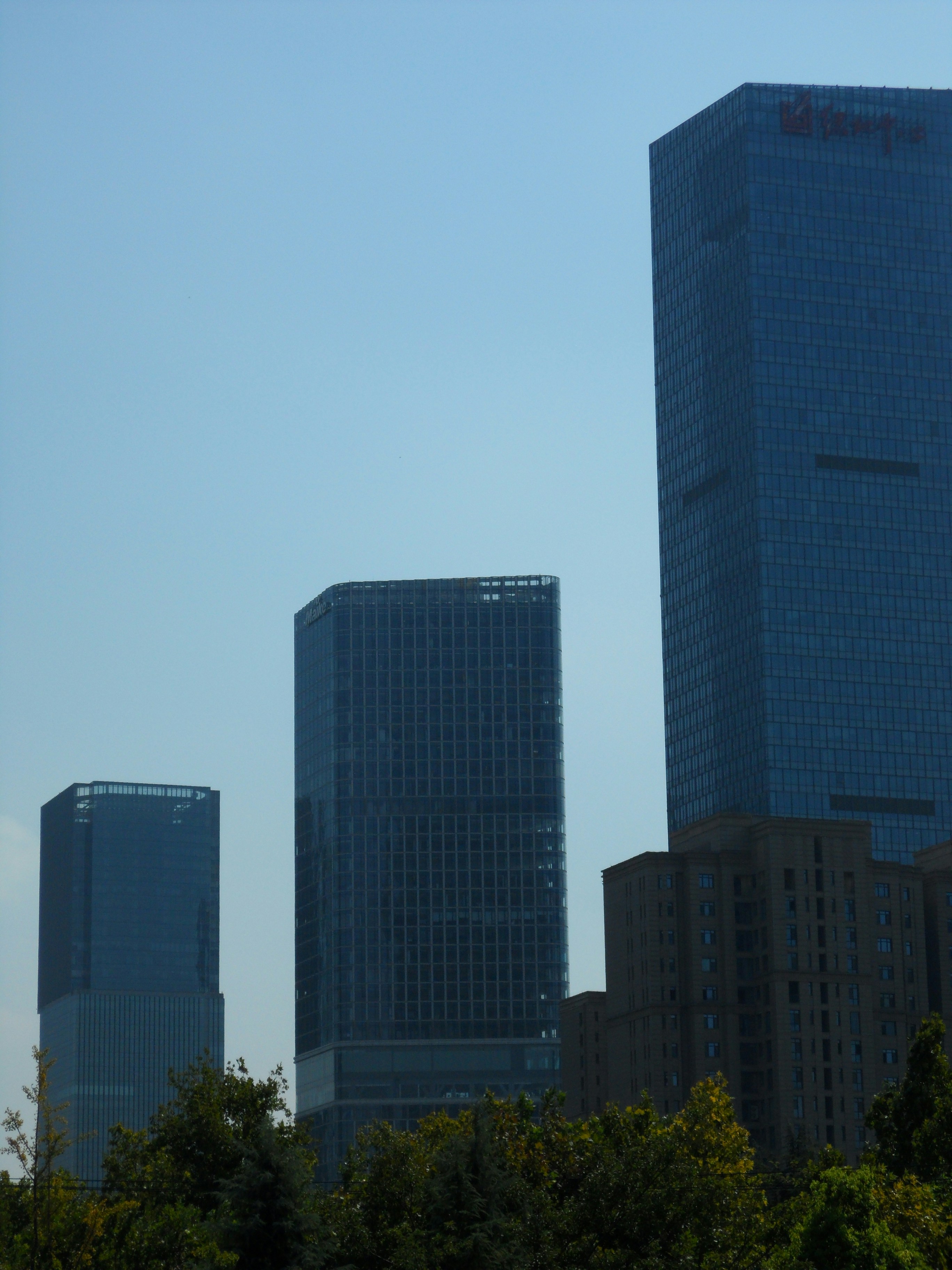 Tall glass buildings rise above a tree-lined base against a pale blue sky, capturing an urban skyline with distant shadows and bright reflections.