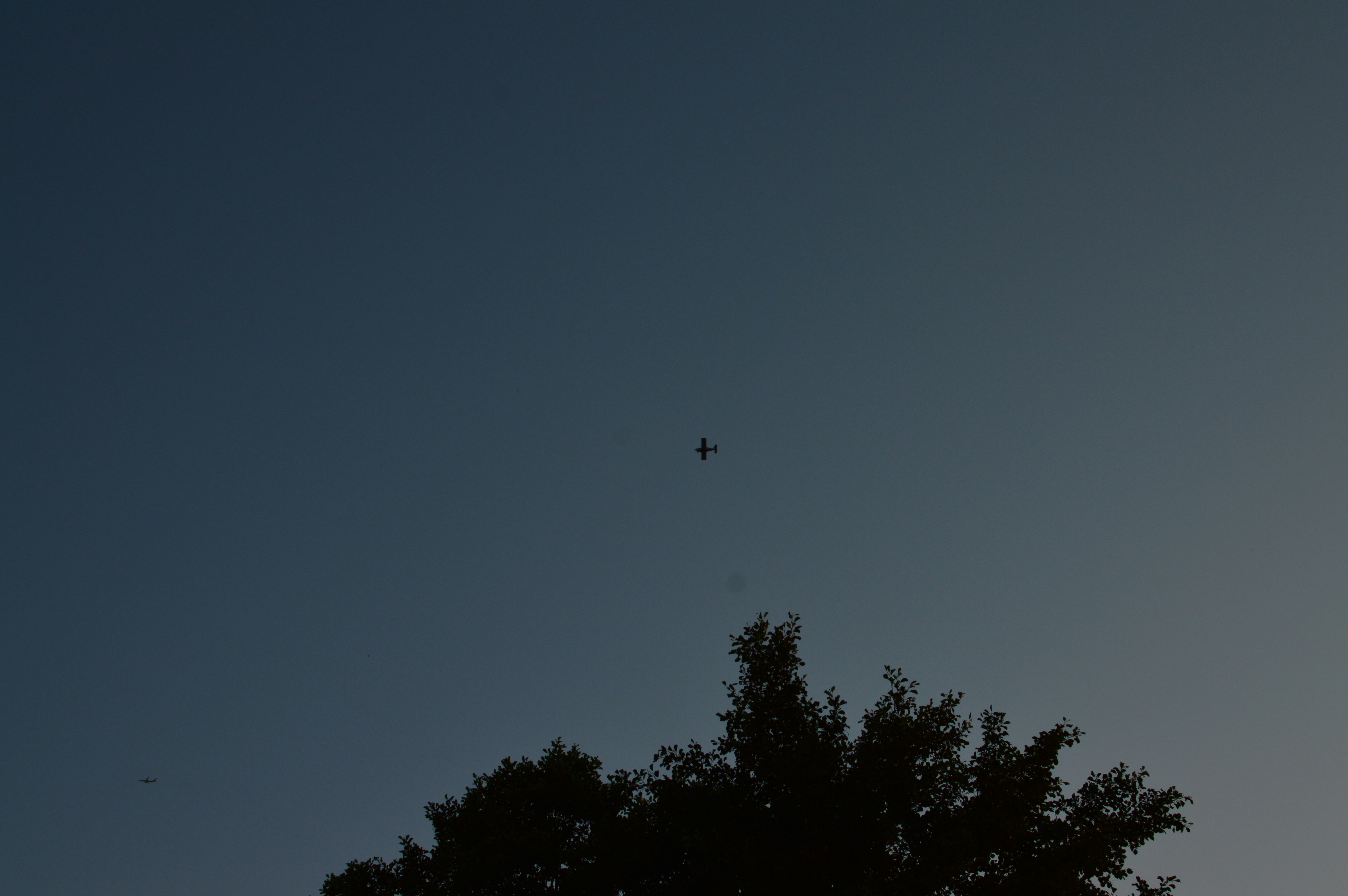 Silhouette of a Tree under a Dusk Sky with a Subtle Aircraft in the Distance