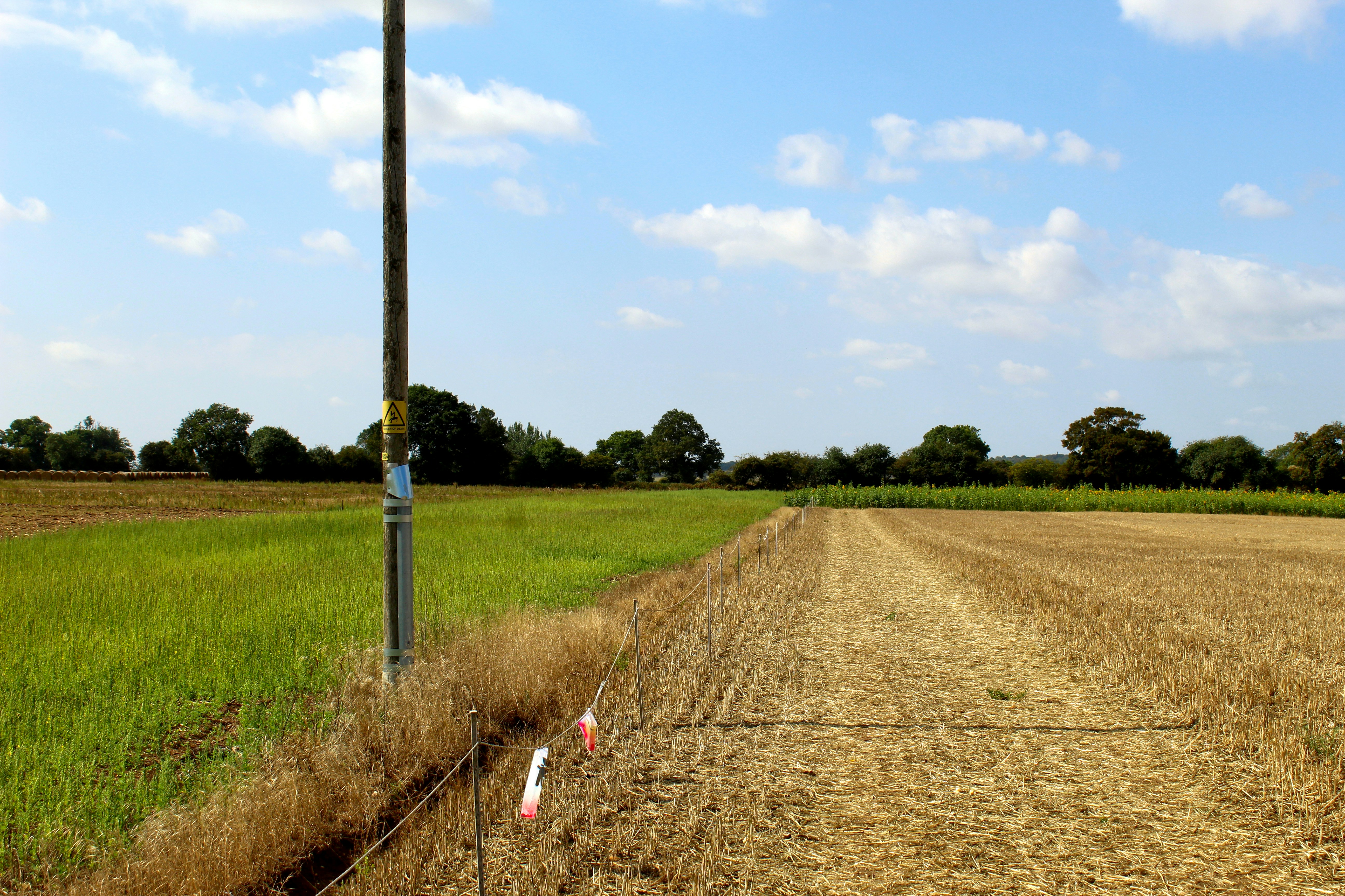 Dusty Field Path: A Lone Utility Pole at the Edge of Harvest