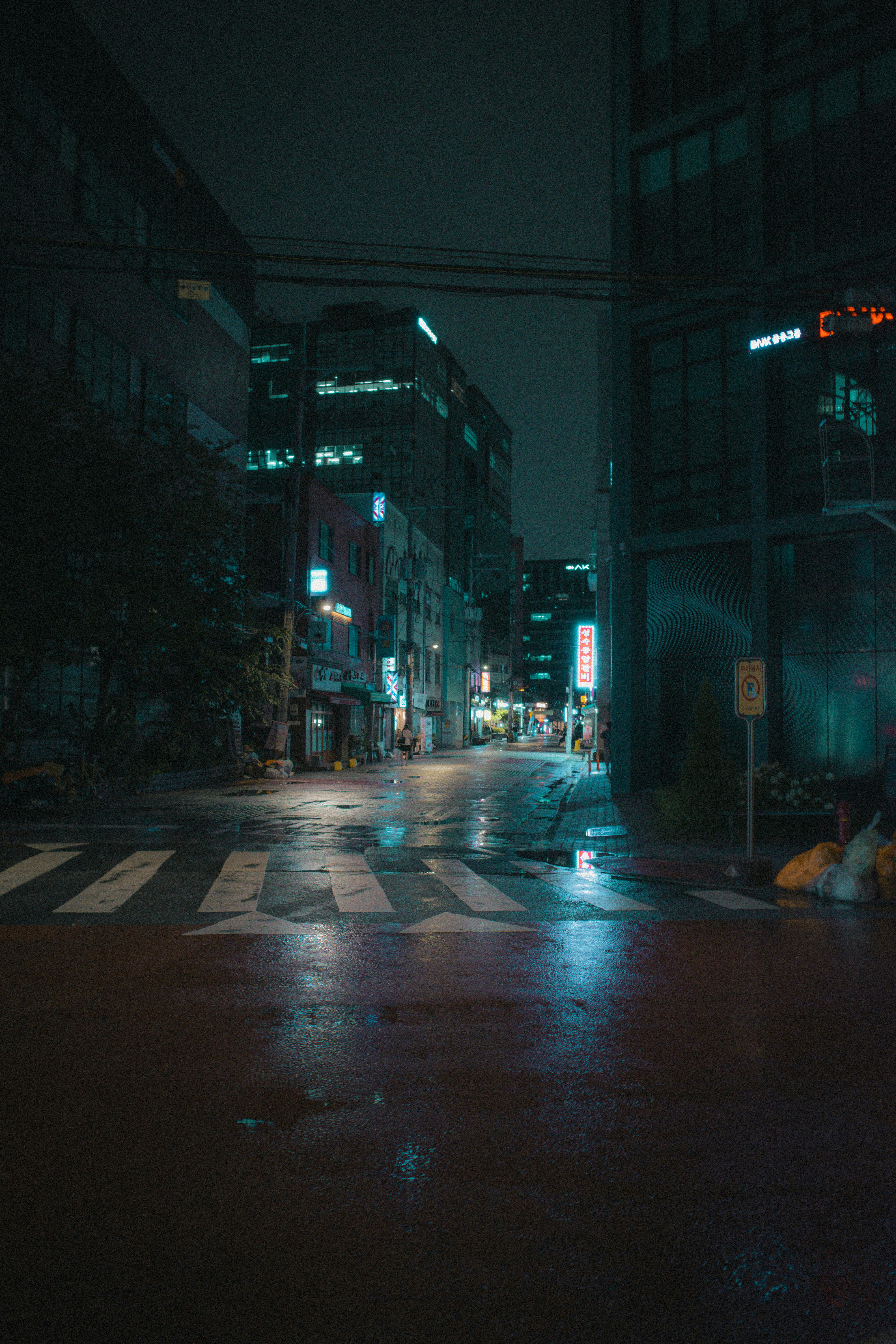 A wet city street at night with neon signs and a crosswalk