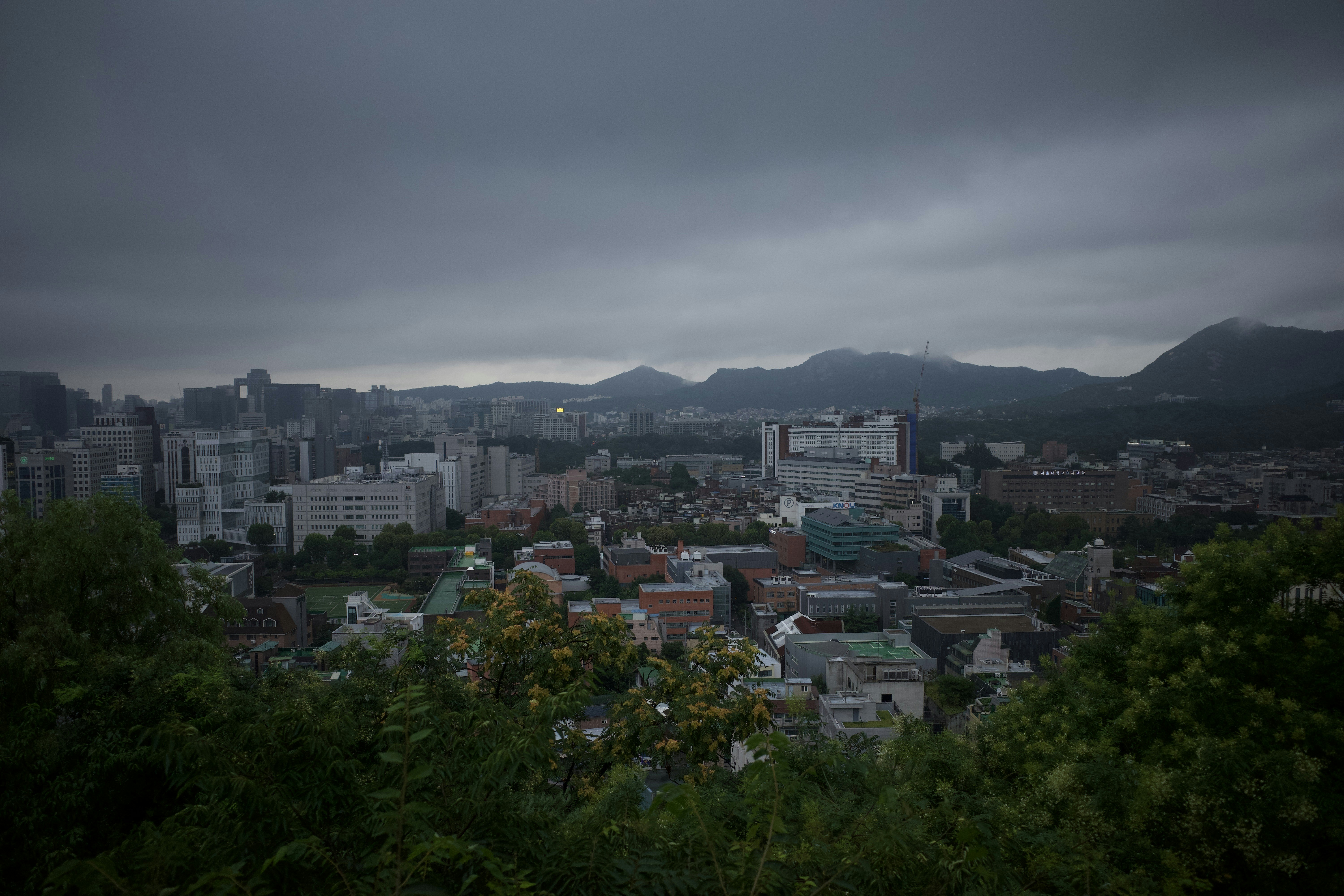 A moody city view under a heavy overcast sky, with low hills in the distance and dense urban blocks in the foreground; appears to be a cityscape photograph captured from a vantage point amid greenery. This is a photographic scene, not a logo or illustration.