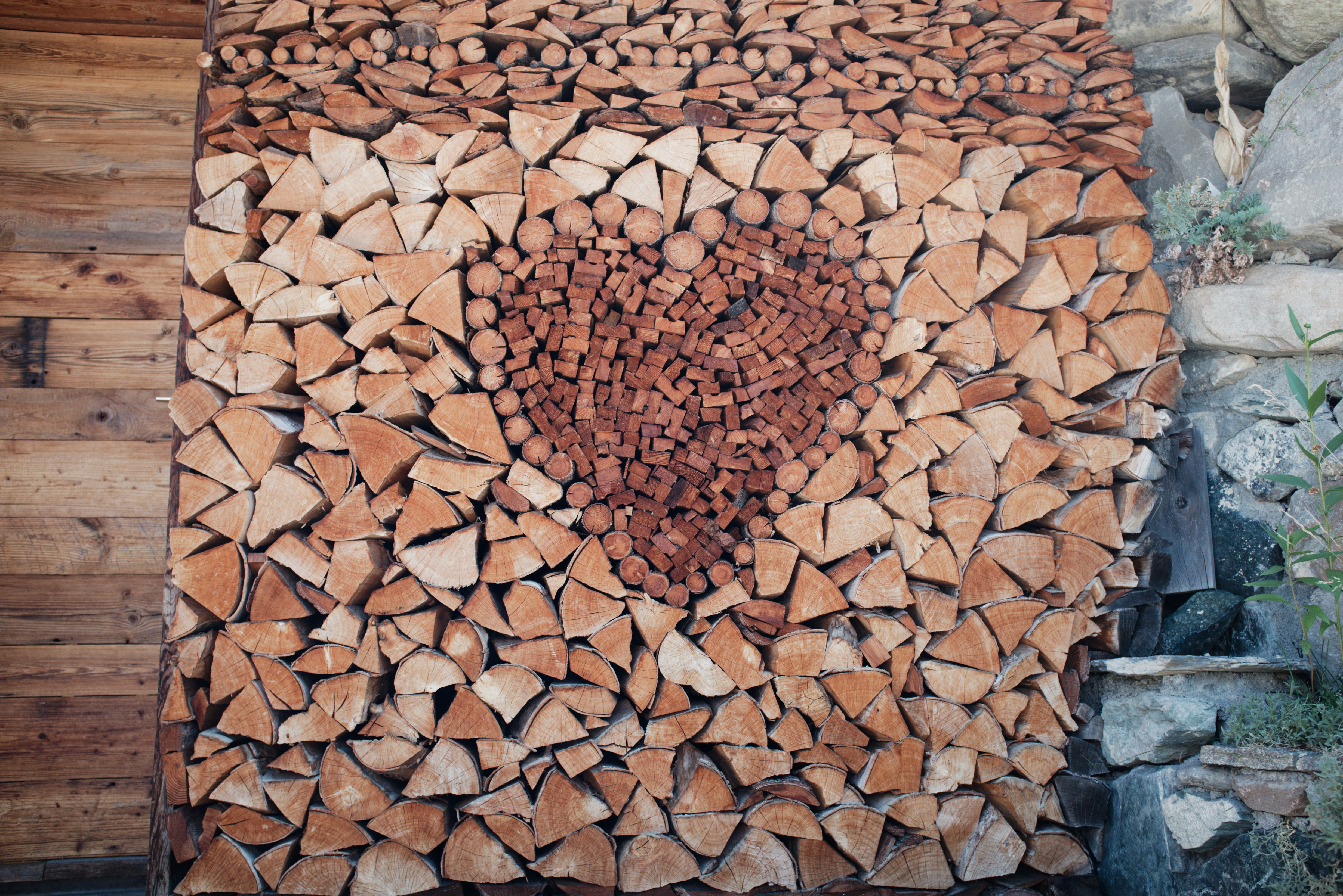 Symmetry in Firewood: A Central Stack Framing Textured Rings