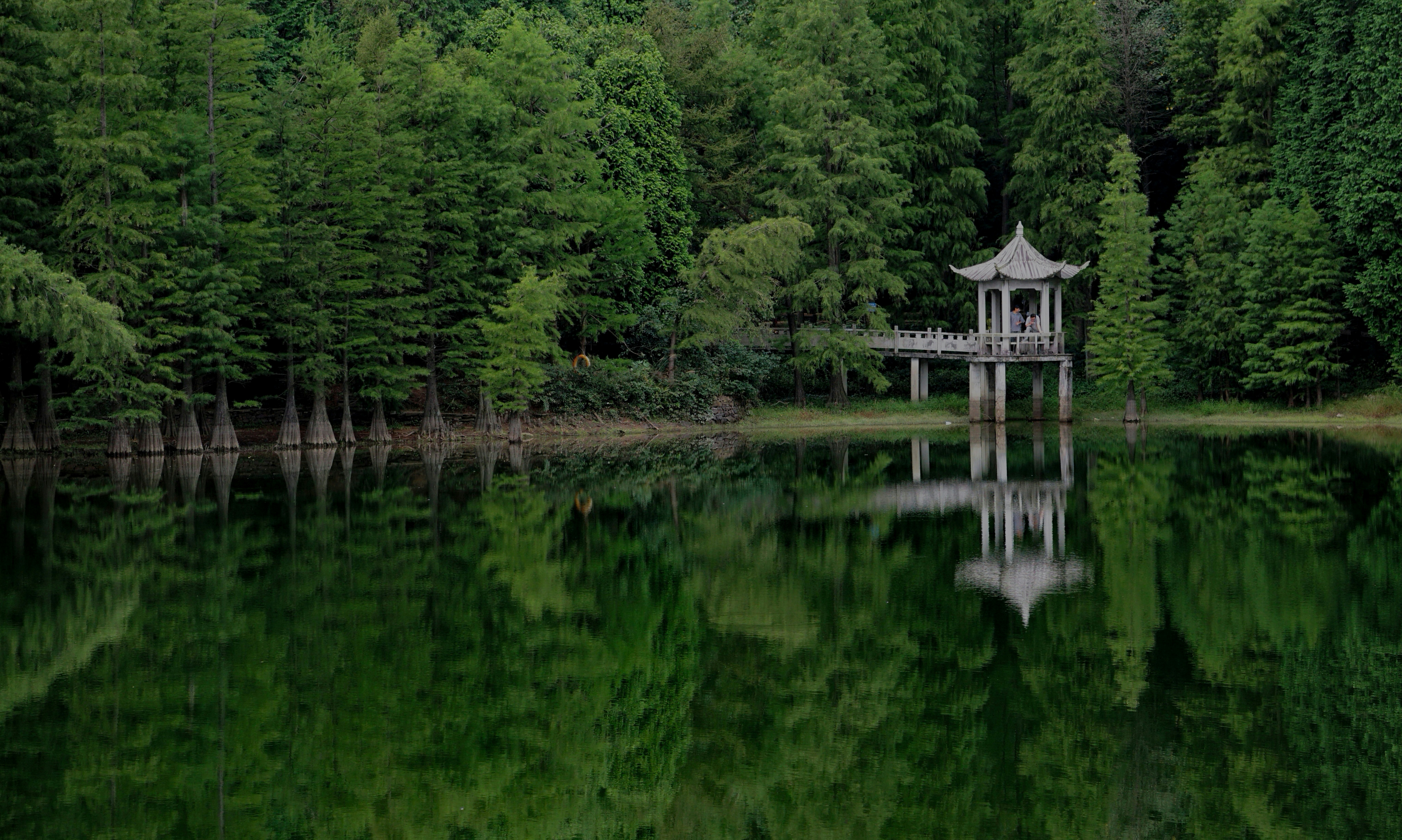 A serene and perfectly symmetrical landscape. A traditional Chinese pavilion and dense green trees are beautifully reflected on the calm surface of a forest pond, creating a deeply meditative atmosphere.
