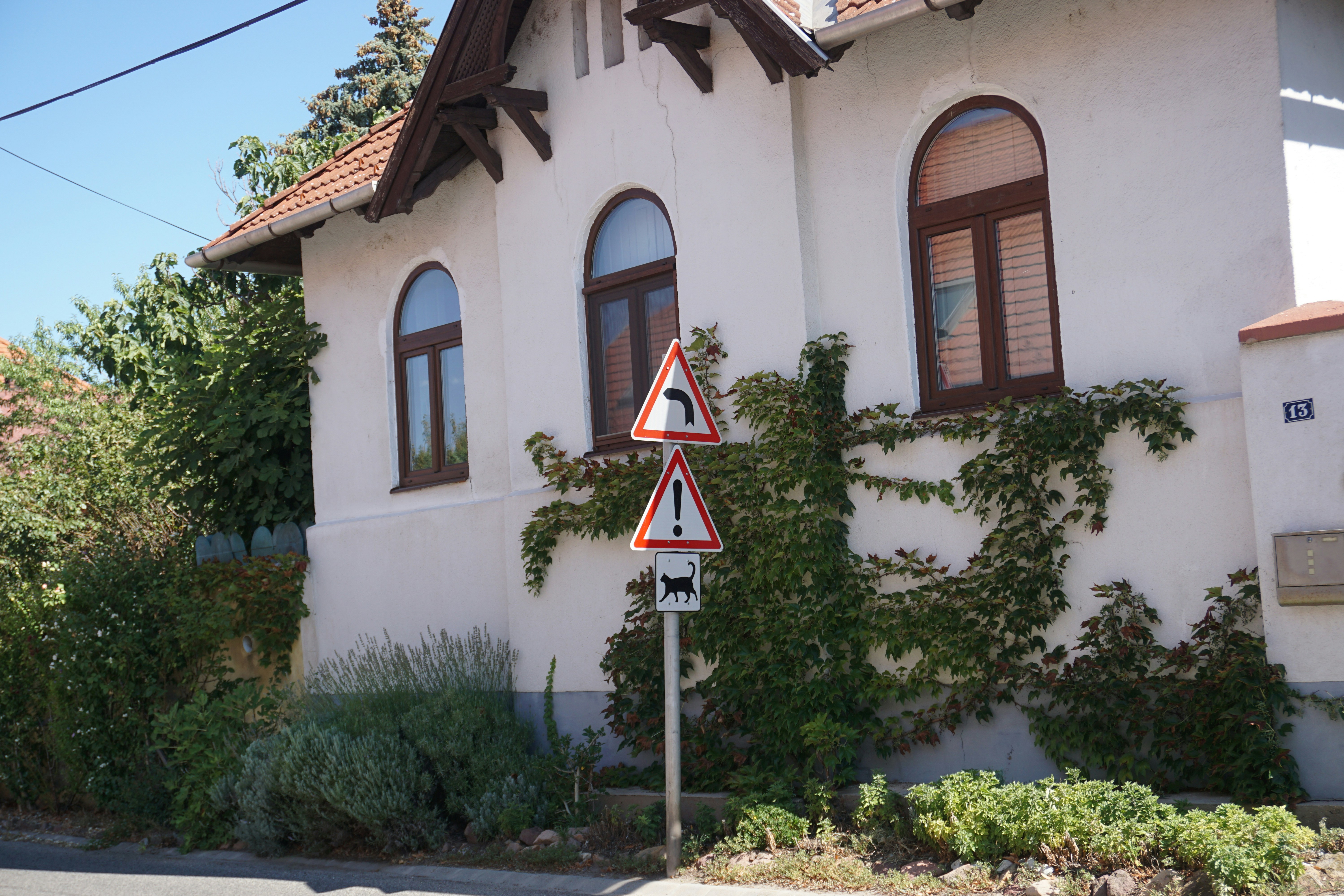White-walled House with Ivy Veils and a Street Signal