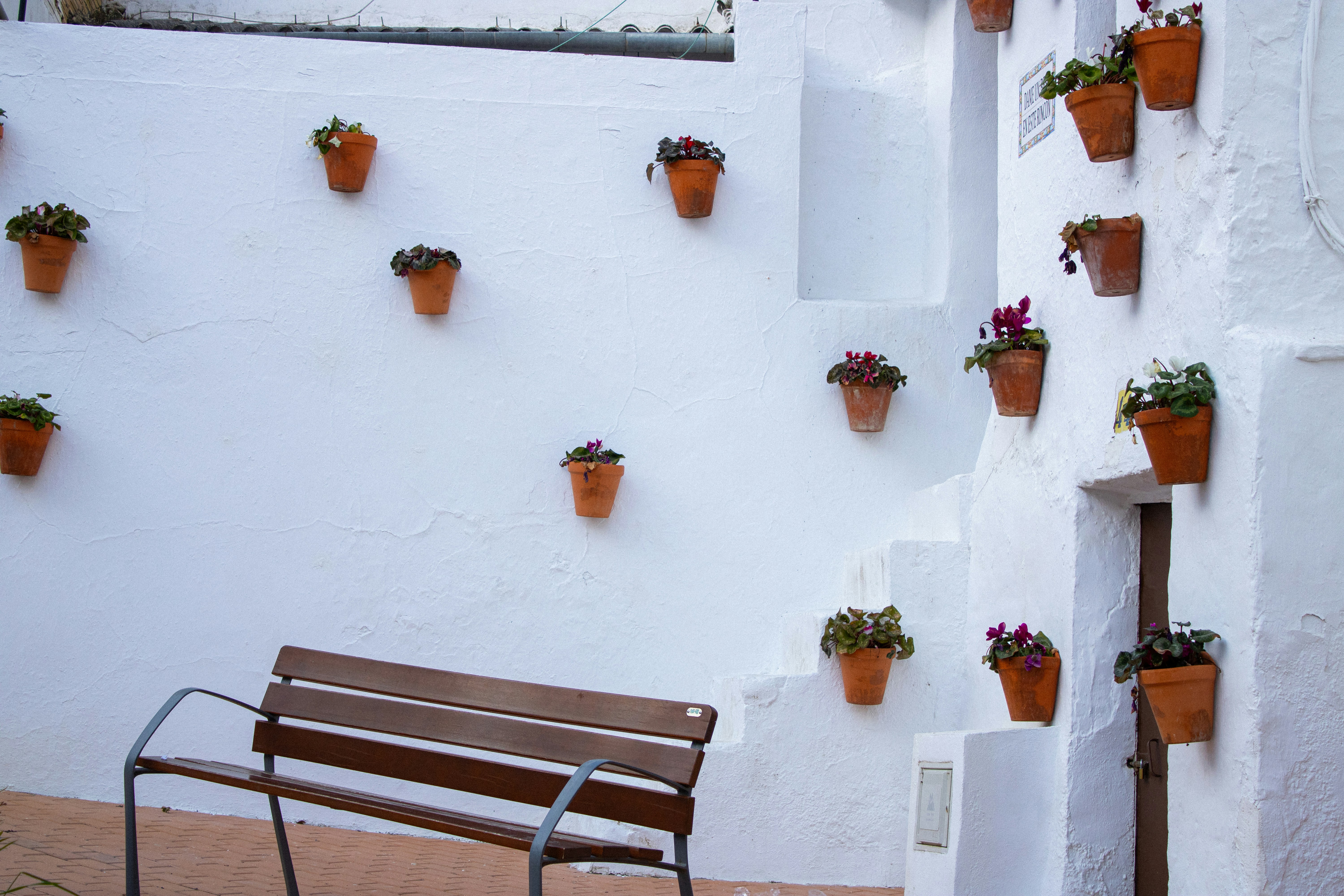White wall dotted with terracotta pots and a lone bench creates a calm, sunlit courtyard scene.