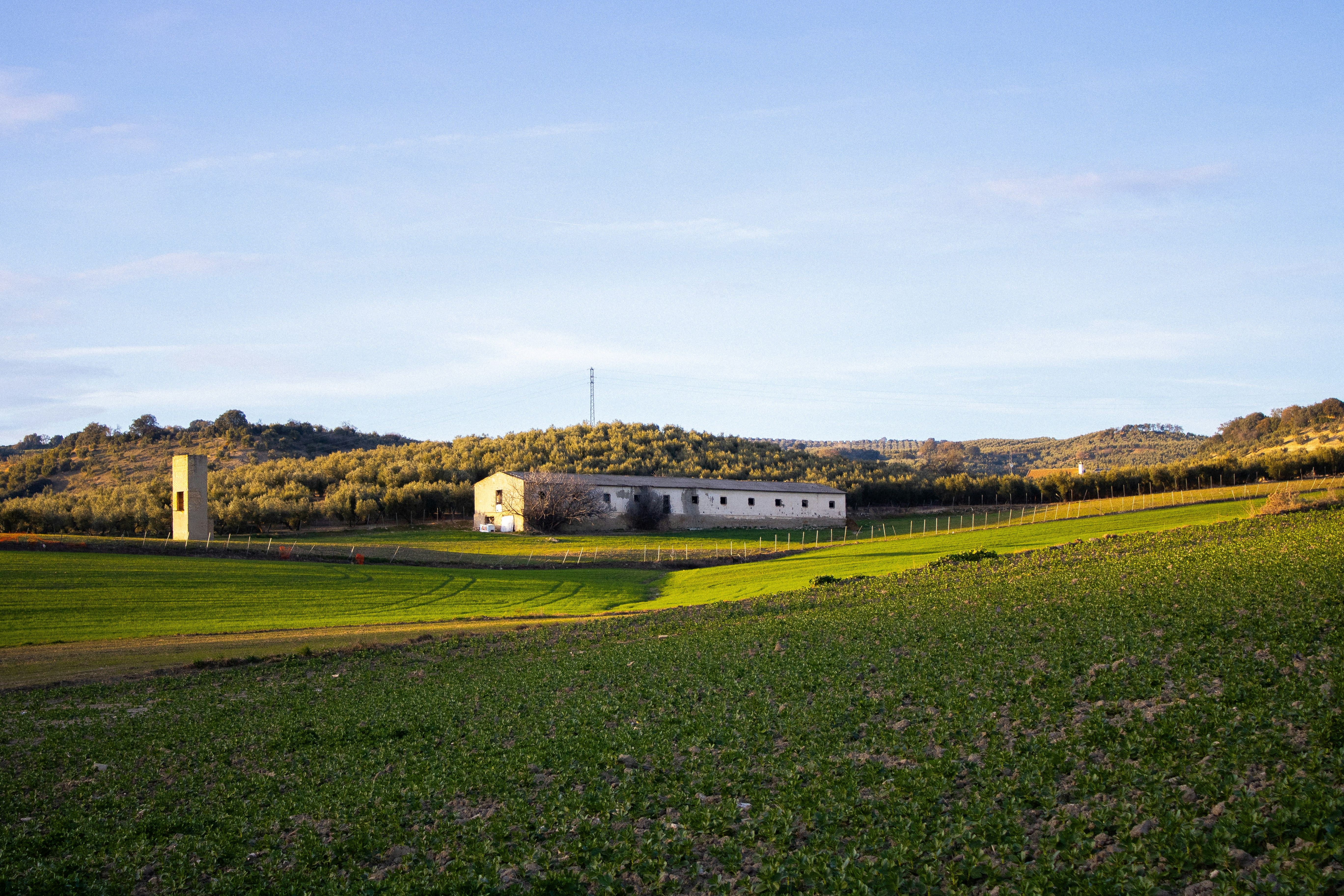 Rural fortress: sunlit hilltop complex under a clear sky