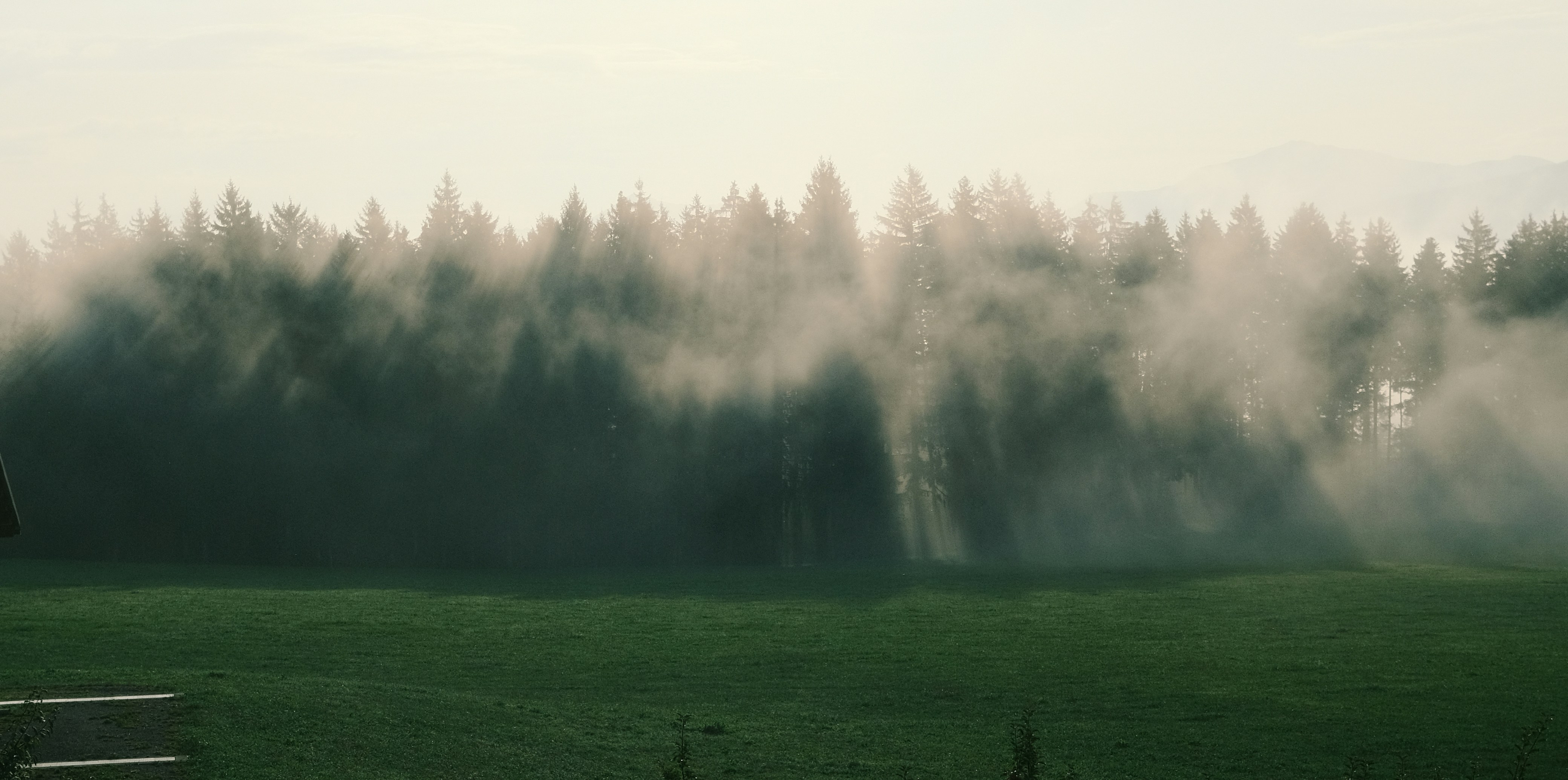 Fog-Laced Ridge: Morning Quiet Over Verdant Field