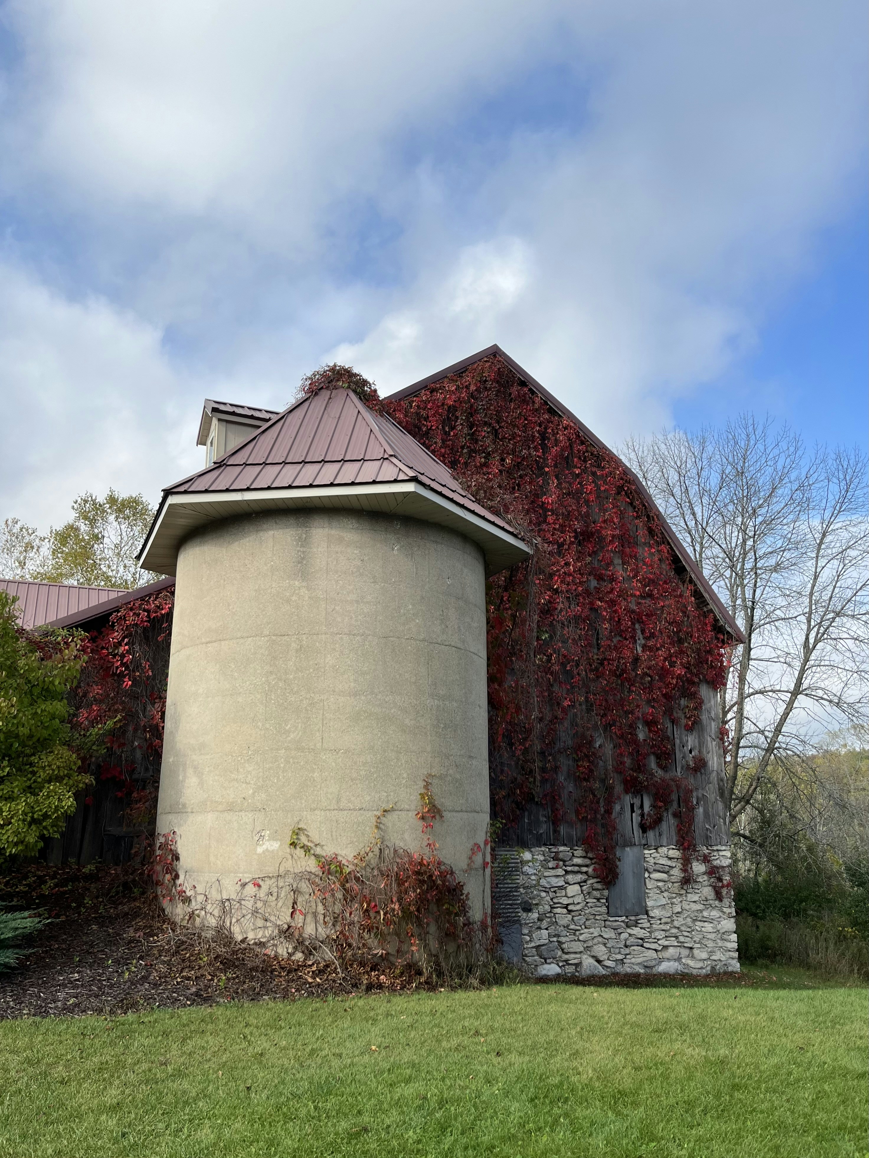 Red Ivy on a Barn Silo at Dusk