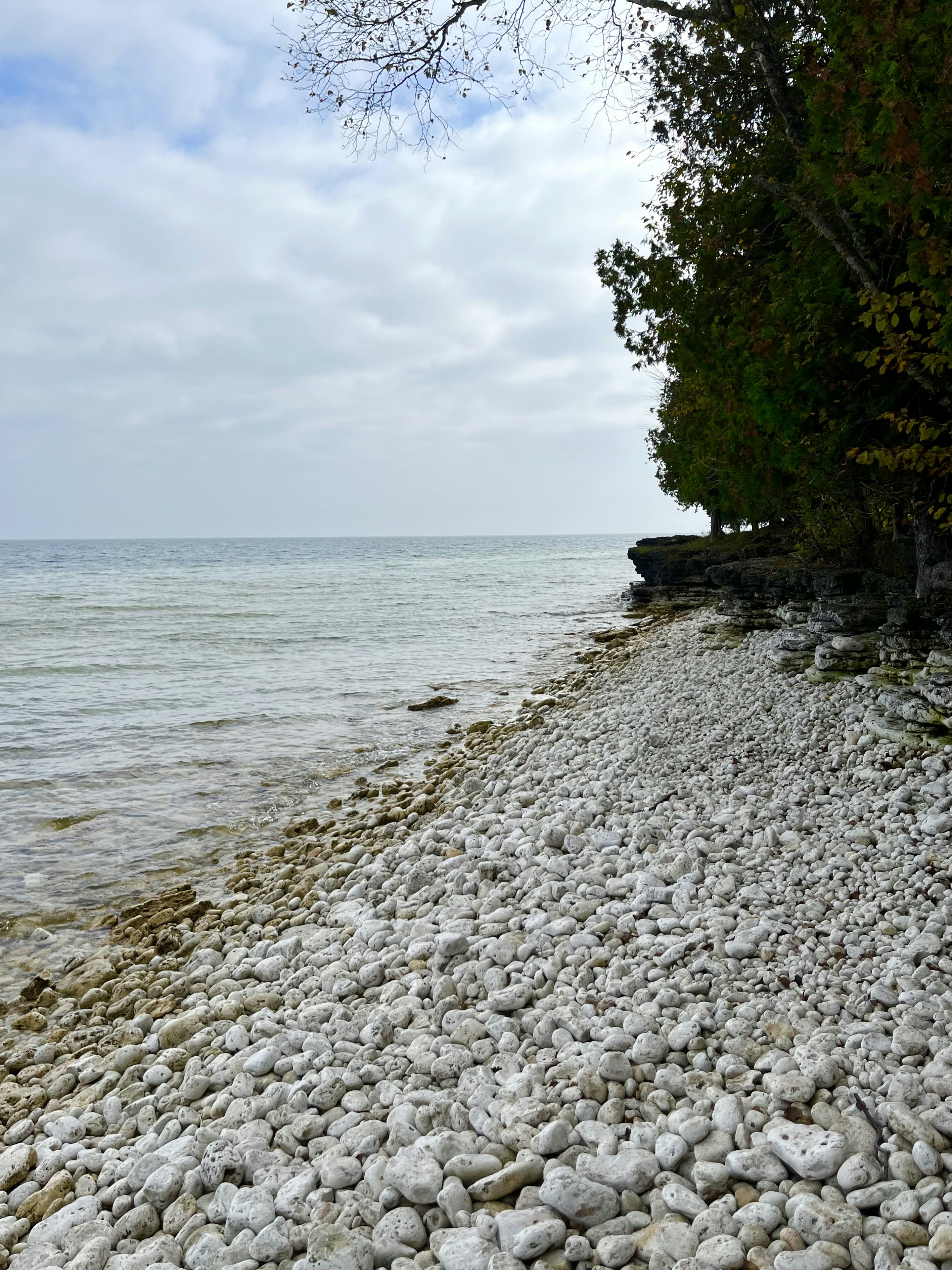 Pebble shoreline meeting a forested cliff under a calm sky